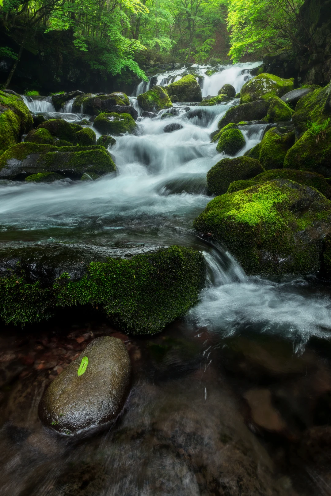 Summer Waterfall in Nagano, Japan [3086x4629] [OC] | Scrolller