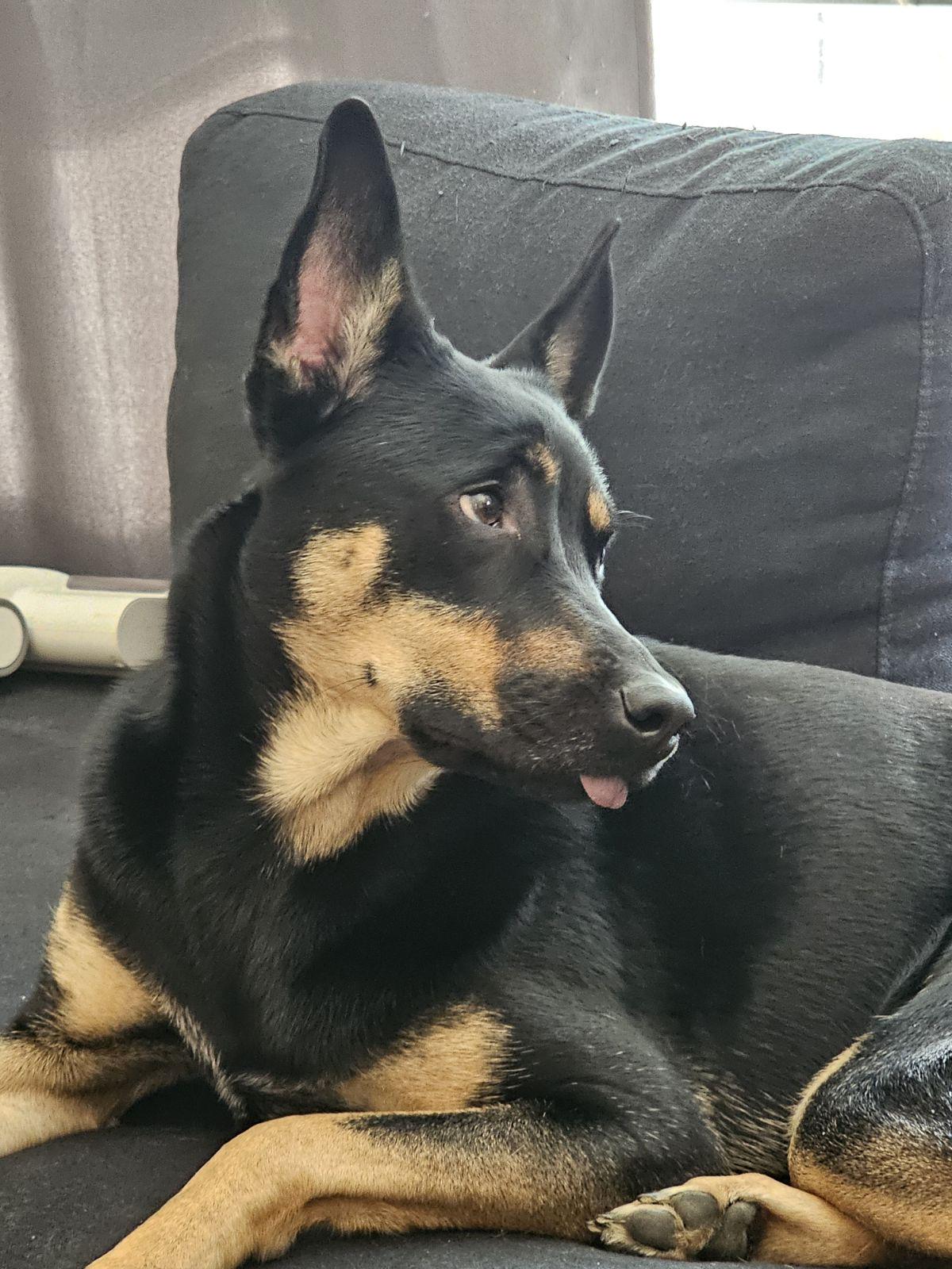 Sometimes her tongue gets stuck. | Scrolller