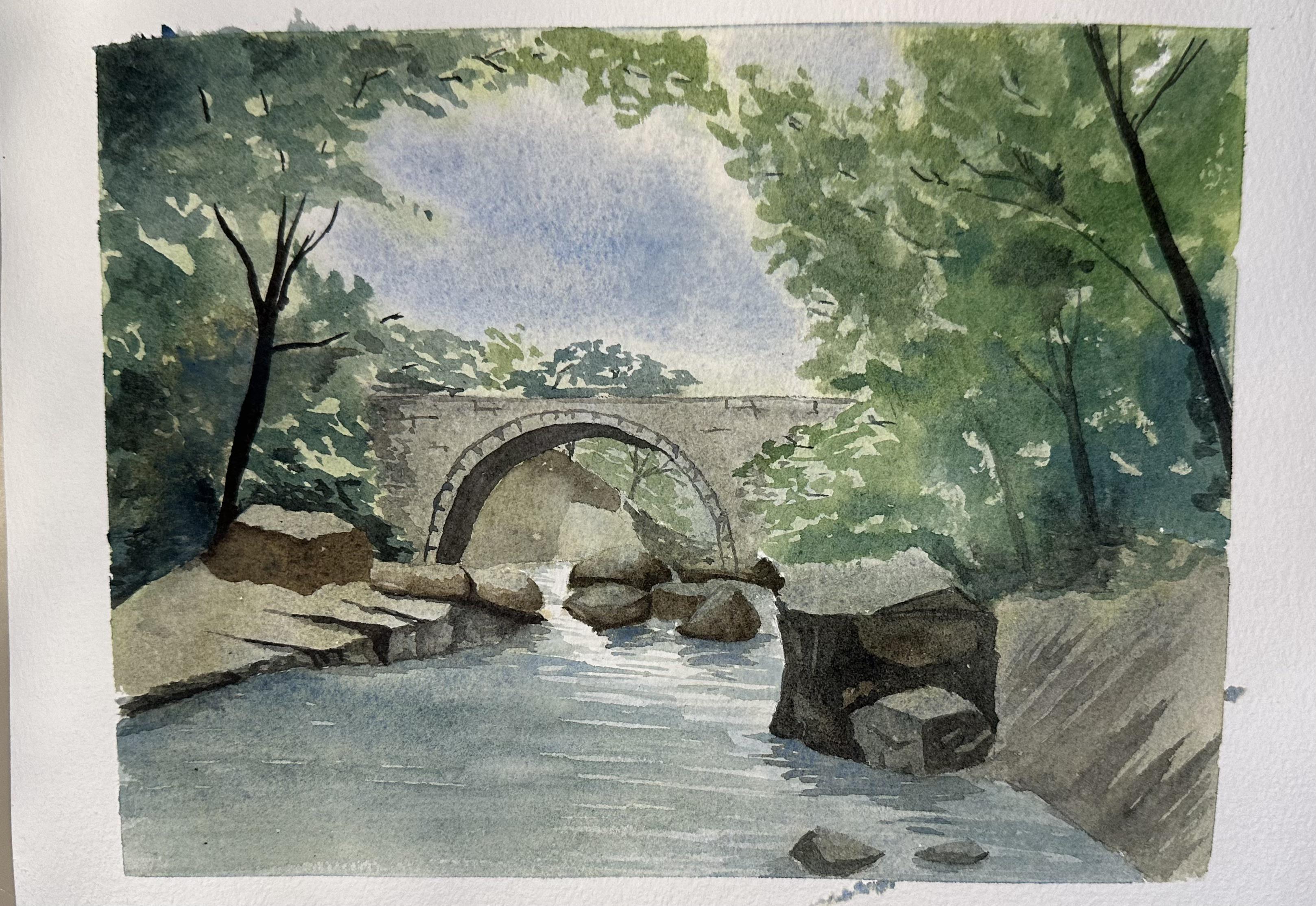 Forest bridge. | Scrolller