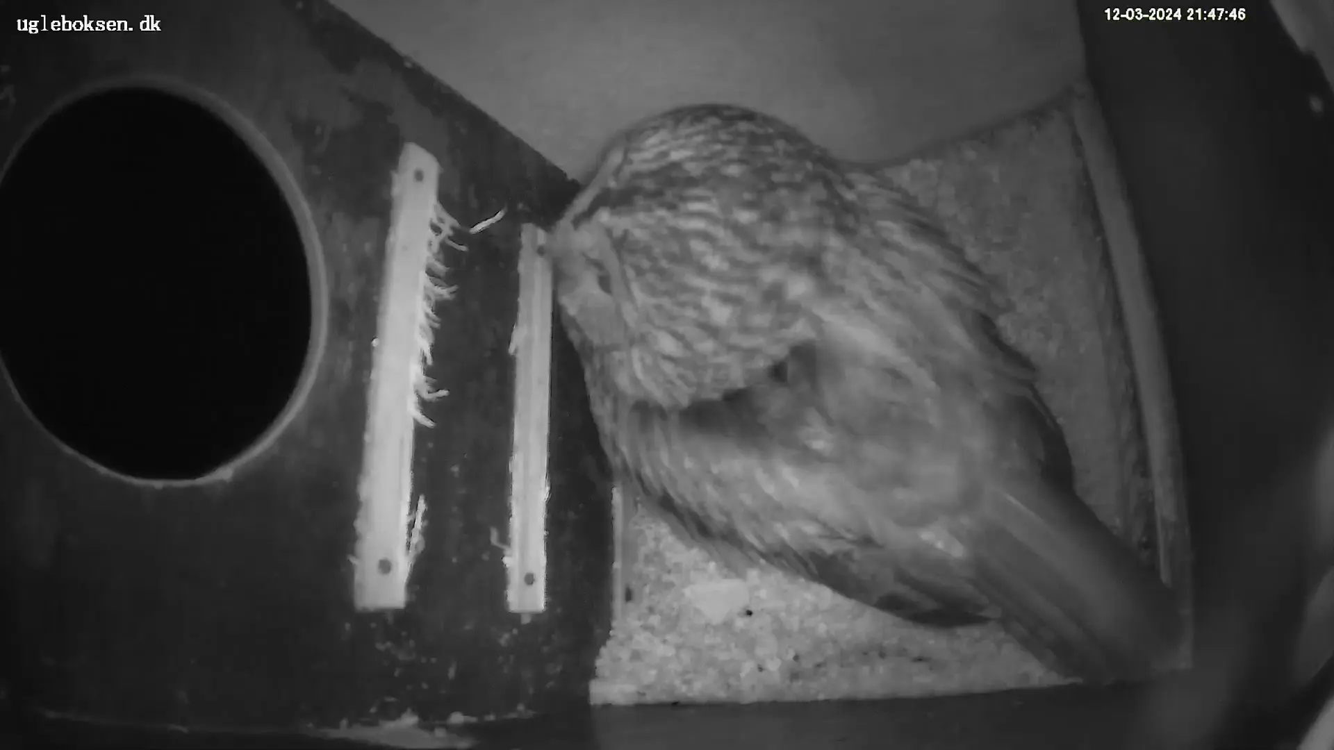 Feeding time | Scrolller