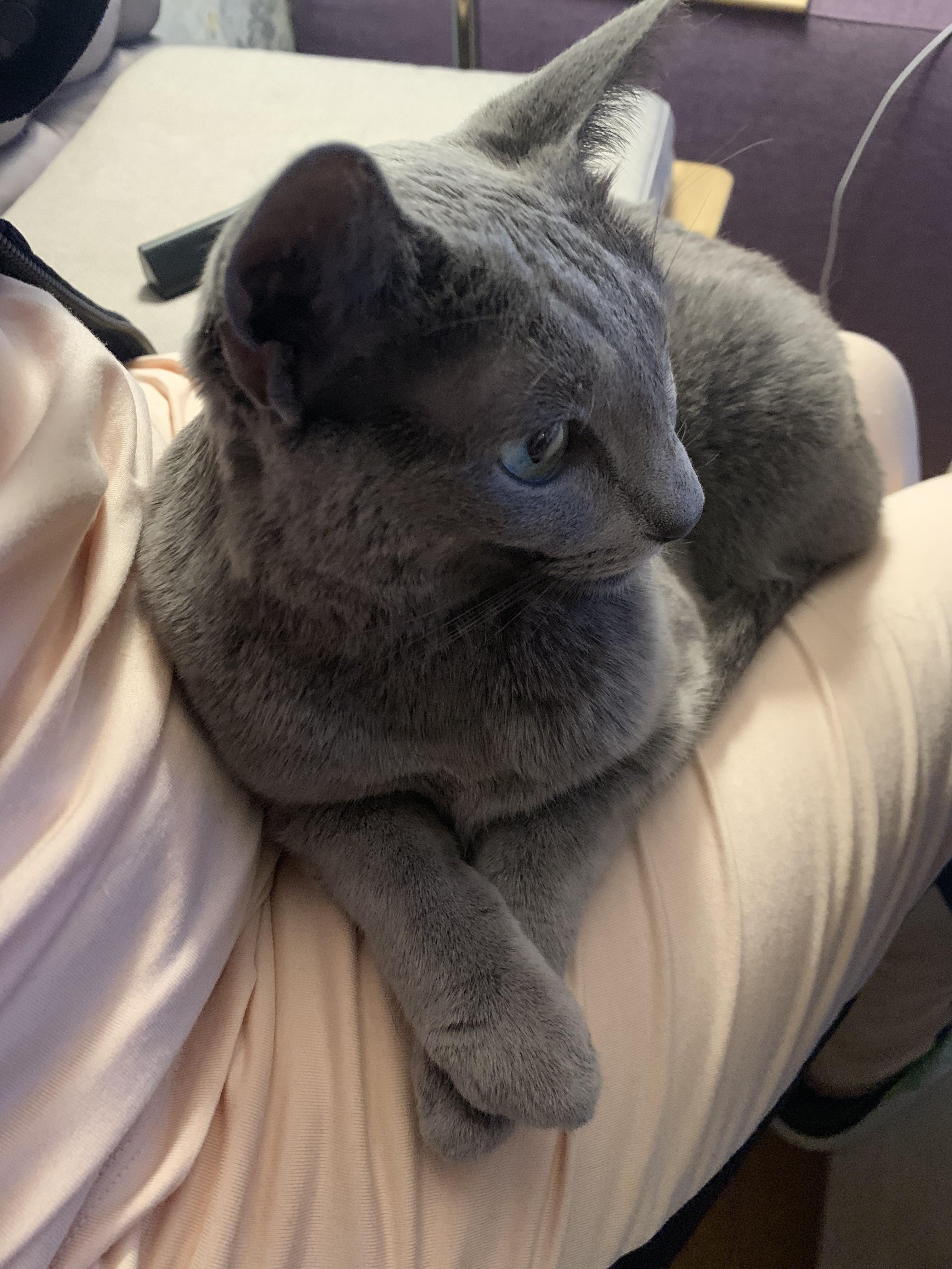 Feeling beautiful | Scrolller