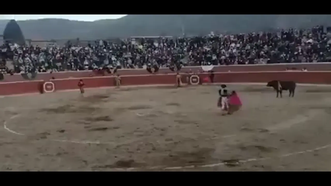 Feeling the Taste of the Horn NSFL | Scrolller