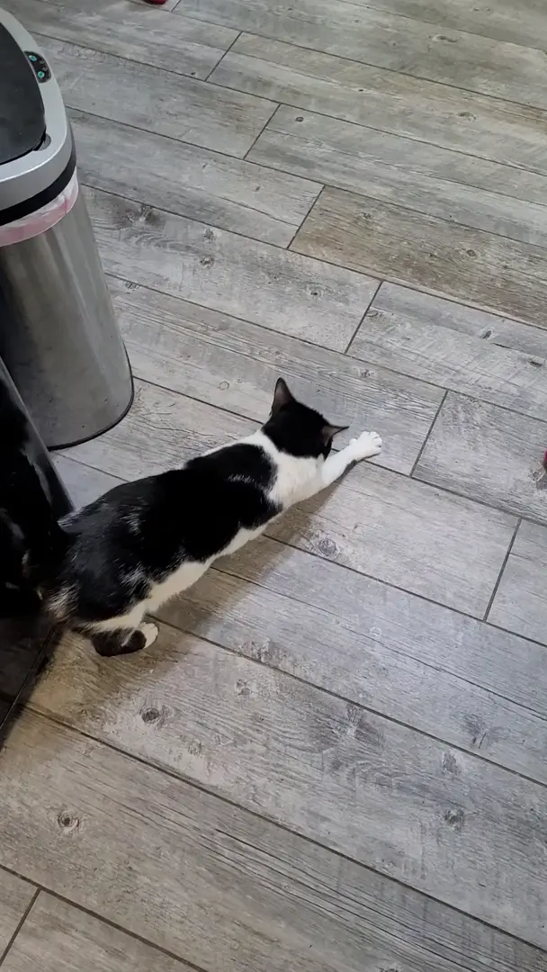 Feetsies stretch | Scrolller