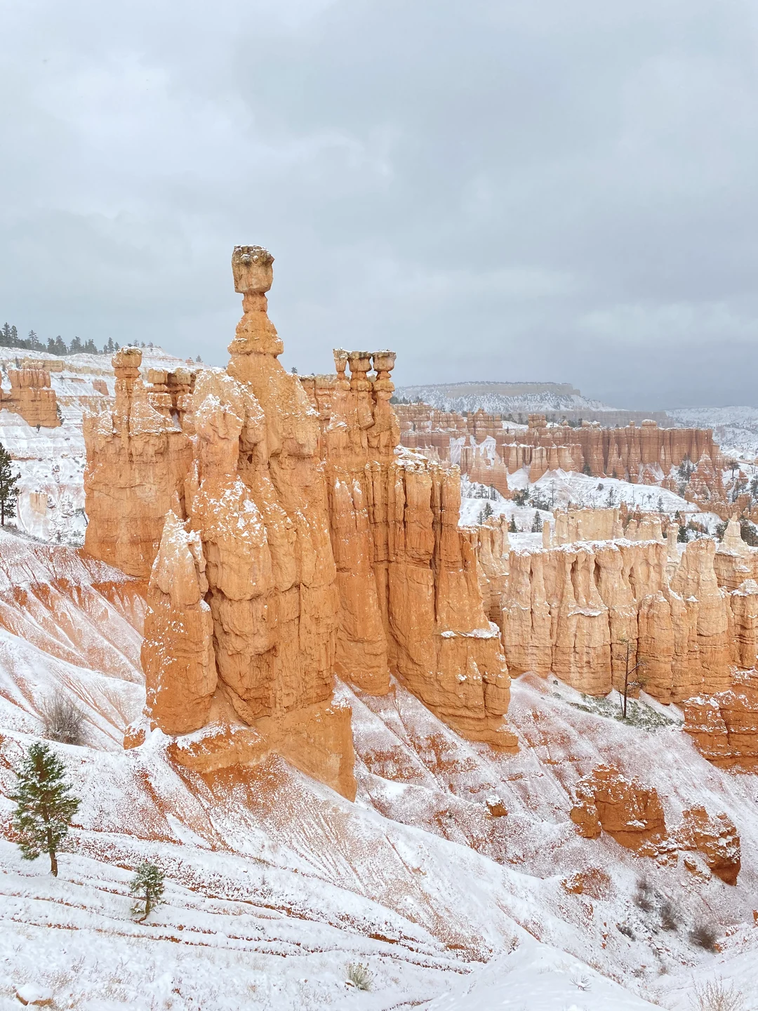 Bryce Canyon National Park, 3024 × 4032, [OC] | Scrolller