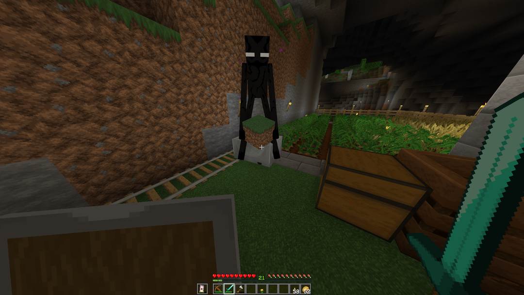 Discover more like Minecraft: Gotcha! Two Endermen in a row in almost the same place. and ...