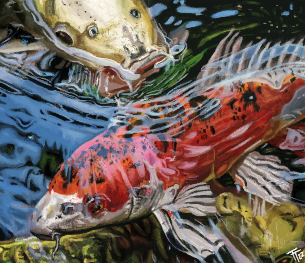 Koi Fish, Me, MS Paint, 2022 | Scrolller