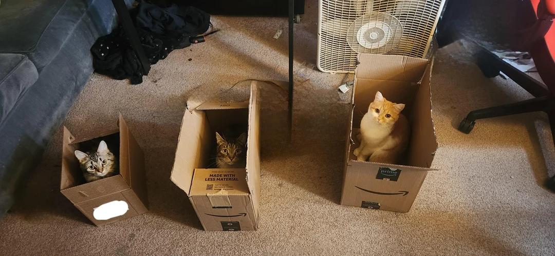 Organized. | Scrolller