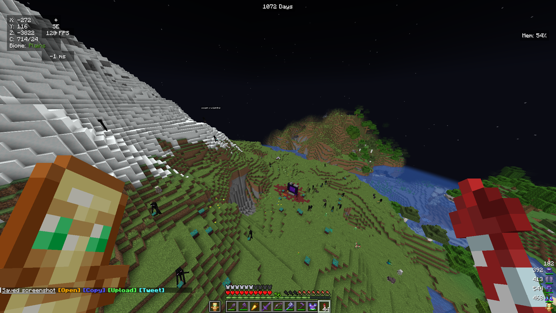 Anyone know why the Endermen came through the portal? | Scrolller