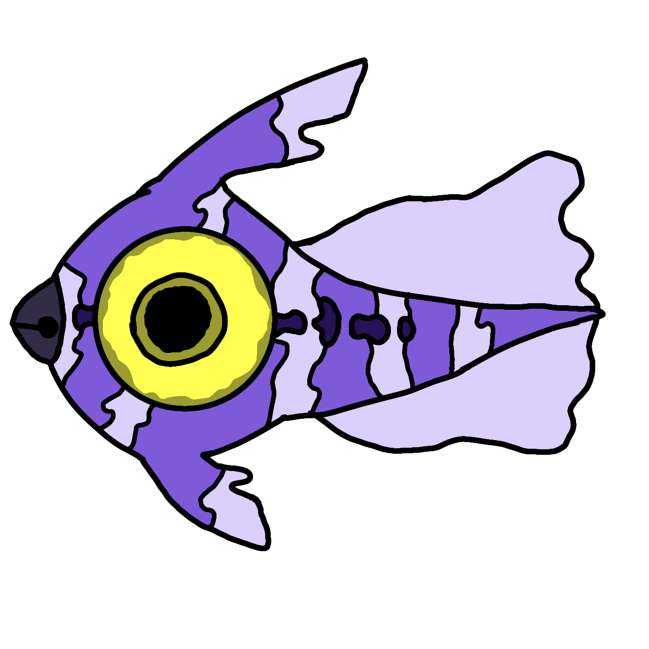 Tropical peeper | Scrolller