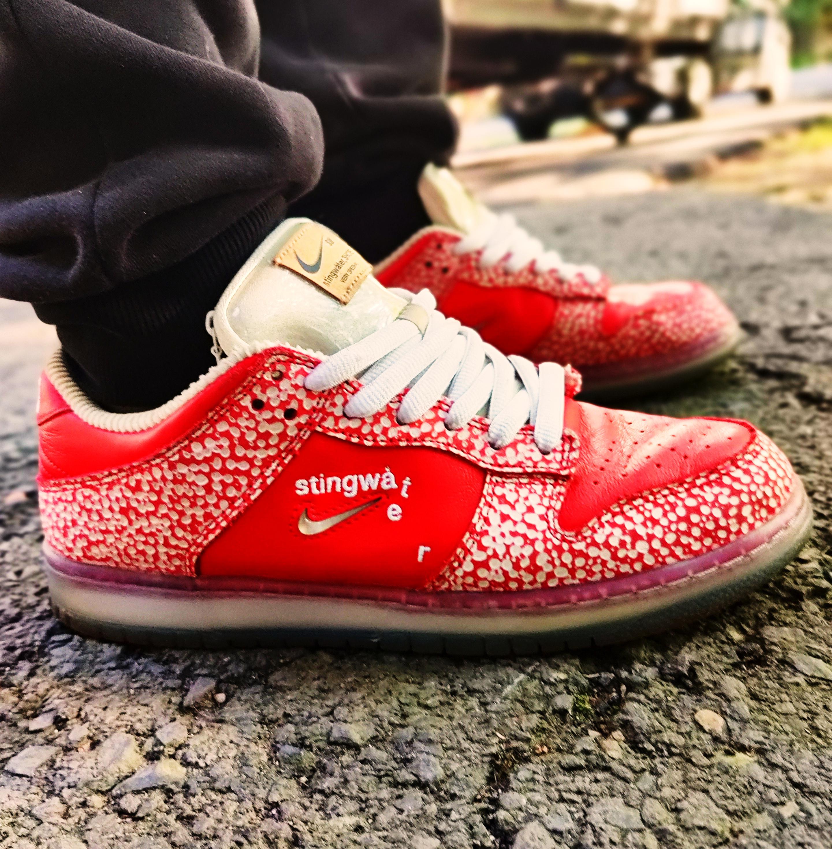 Some Very Speshal Dunks | Scrolller