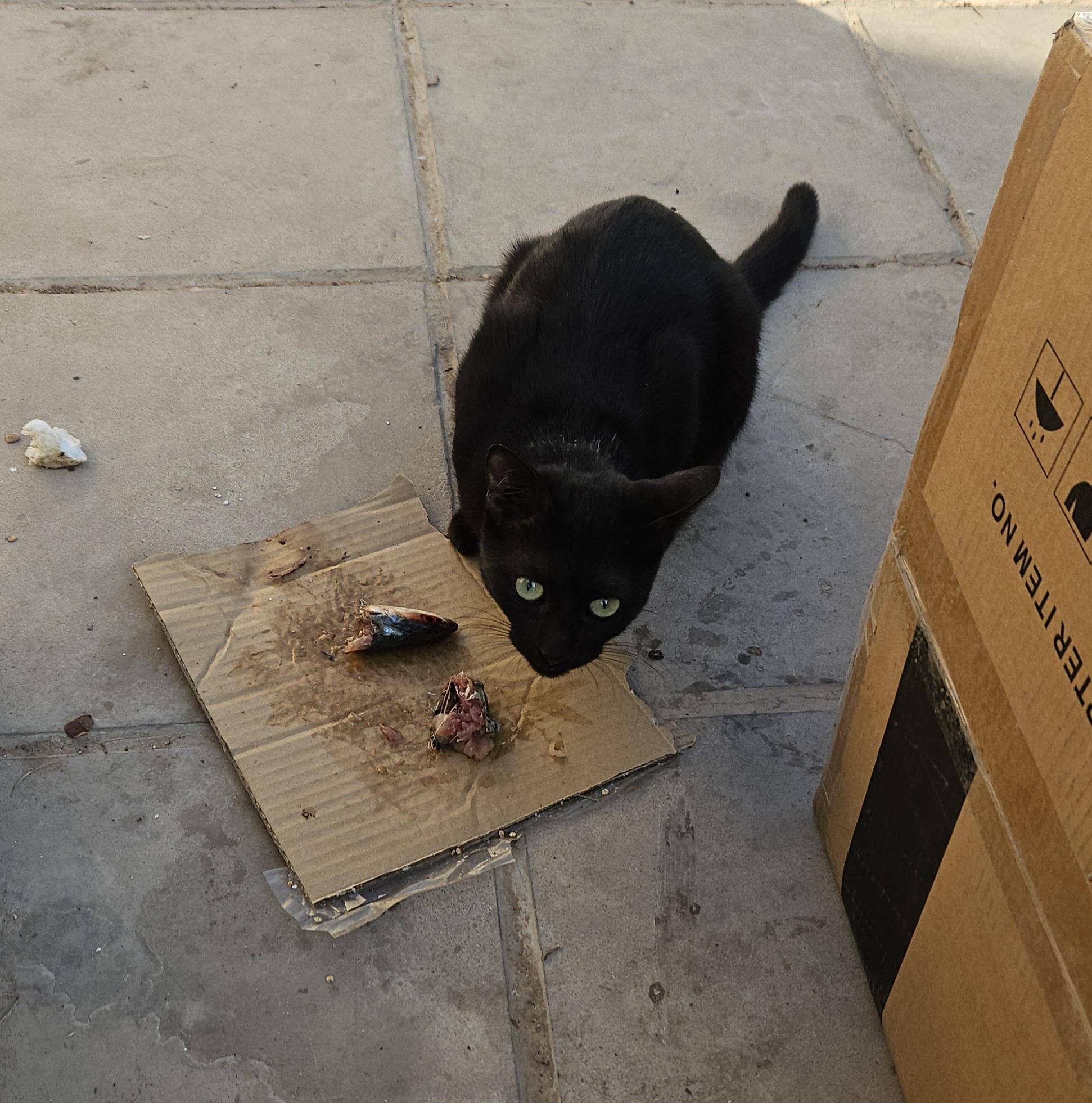 Our spicy local Void | Scrolller