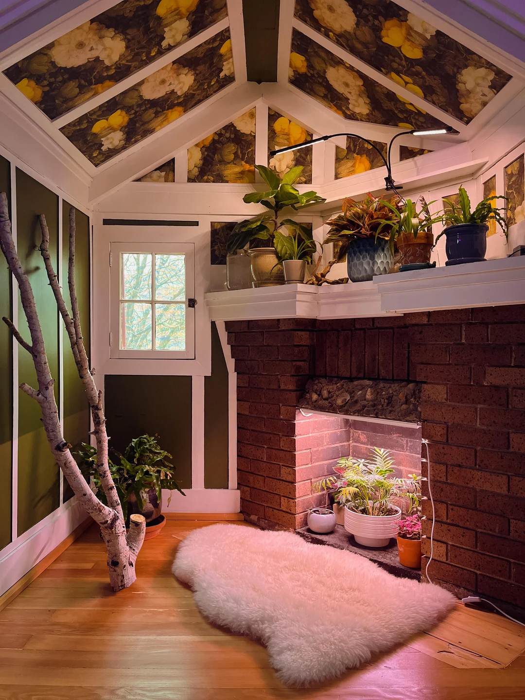 My cozy plant-filled fireplace nook | Scrolller