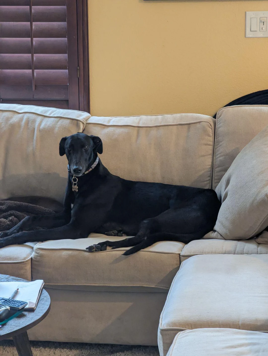 So regal | Scrolller