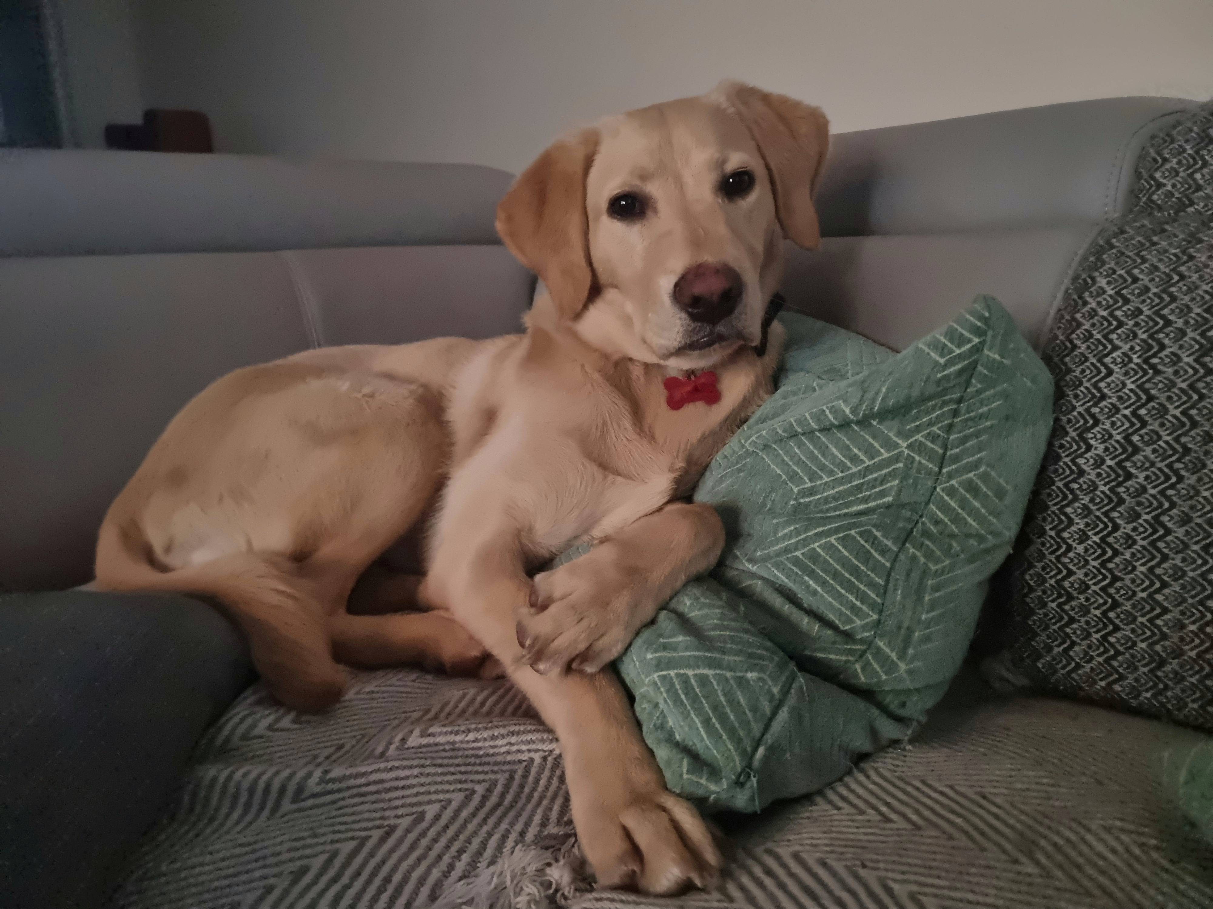 Why does he always look like he's secretly judging me? | Scrolller