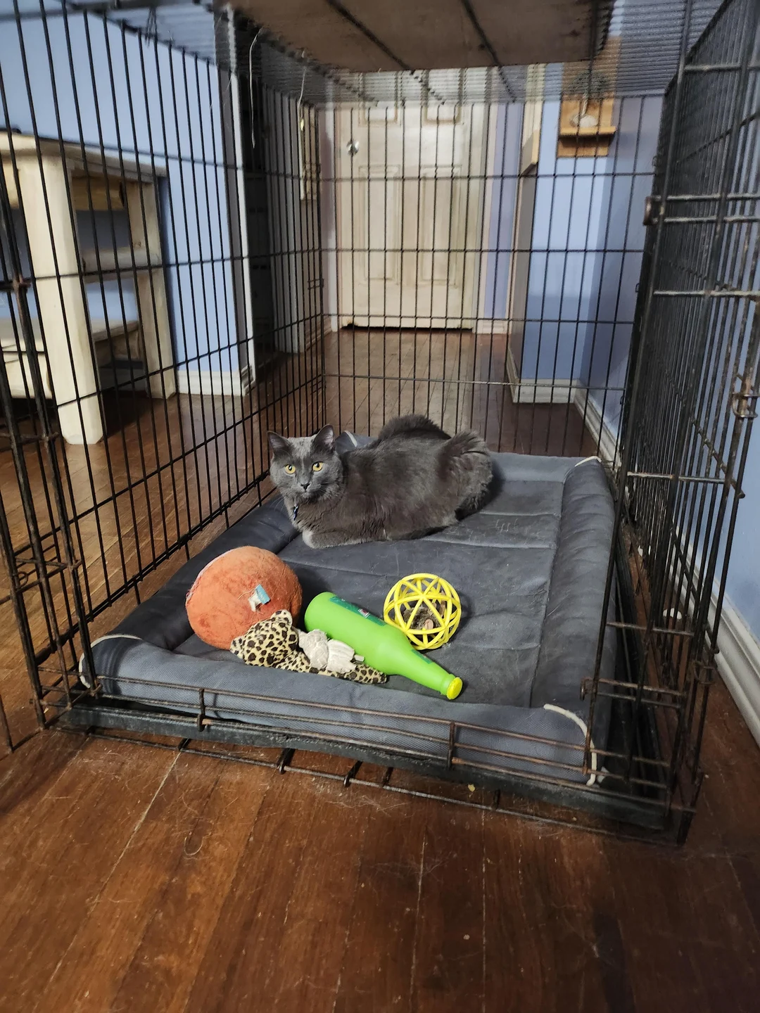 Jail loaf | Scrolller