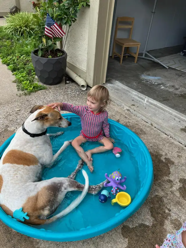 Caesar sharing his pool | Scrolller