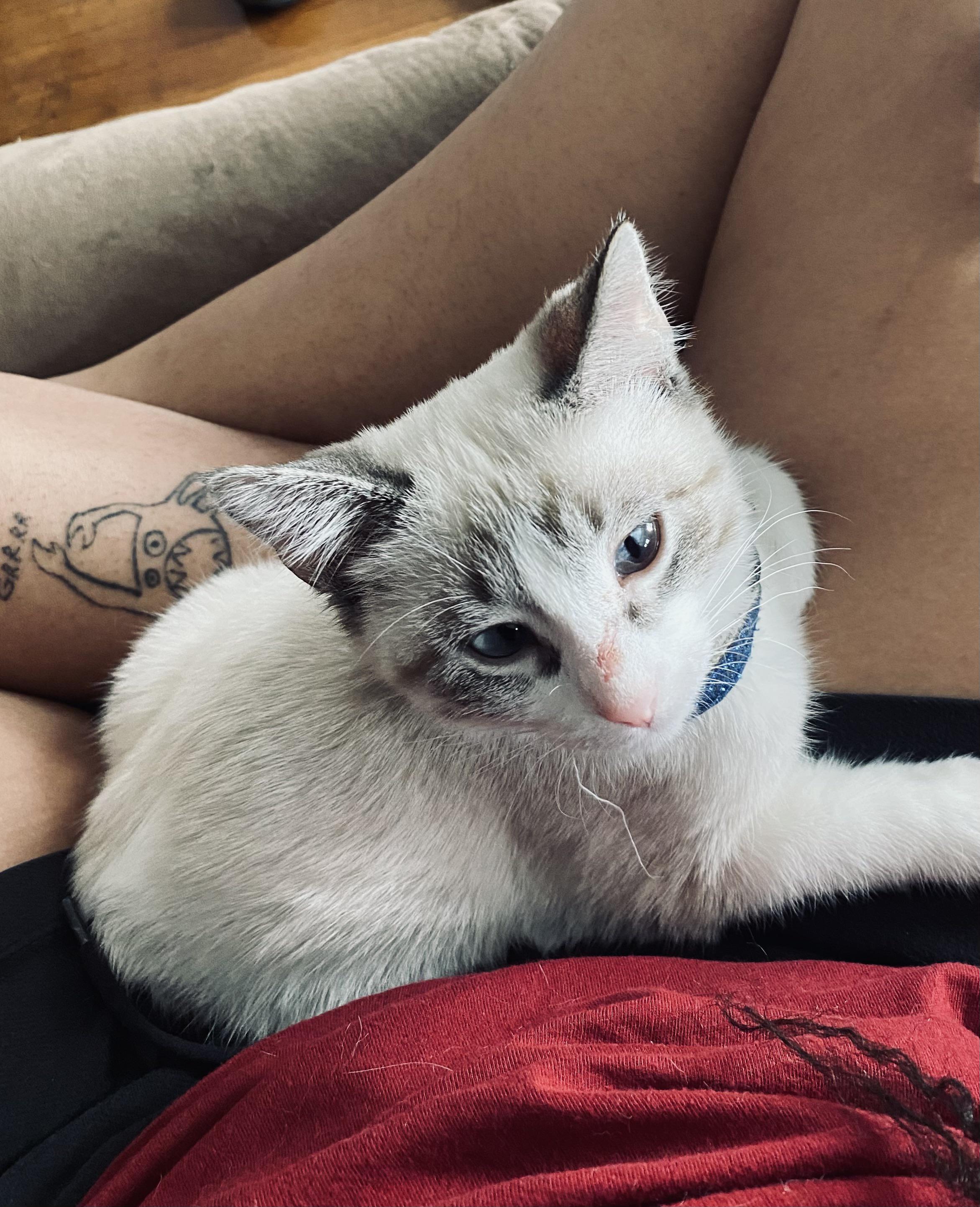 More of Chloe | Scrolller