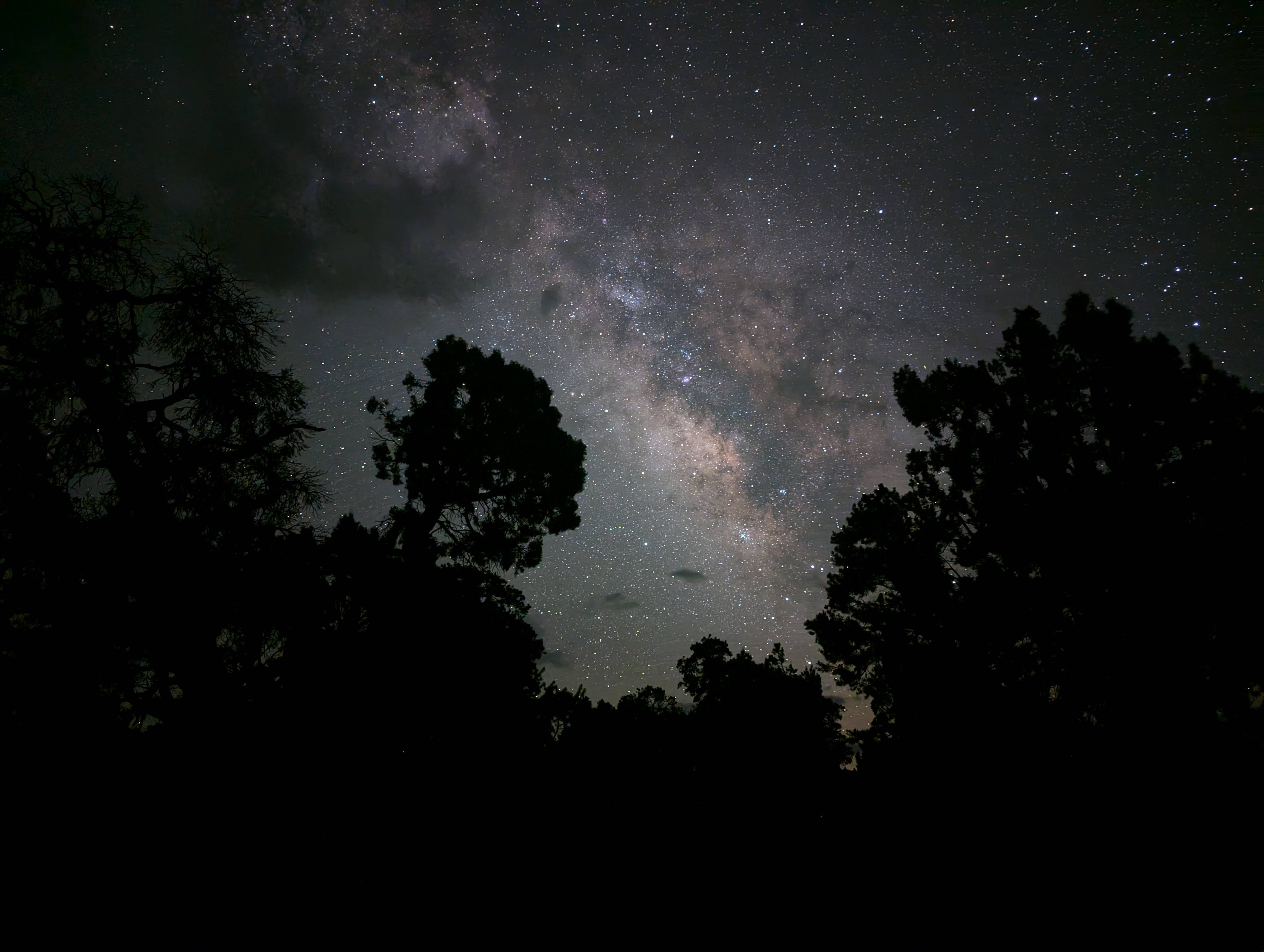 Milky Way from desert view campground in Grand Canyon National Park | Scrolller