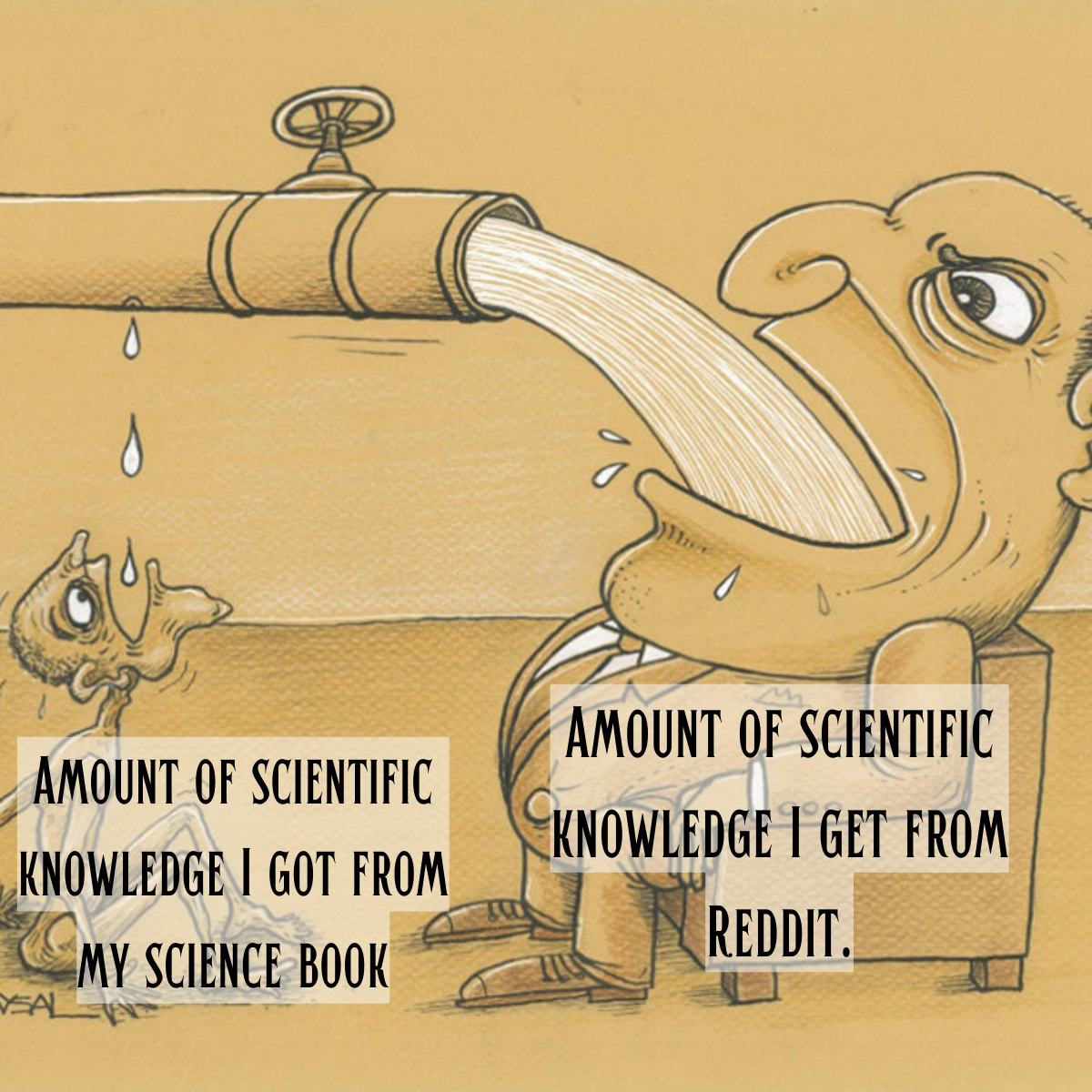 Free information | Scrolller