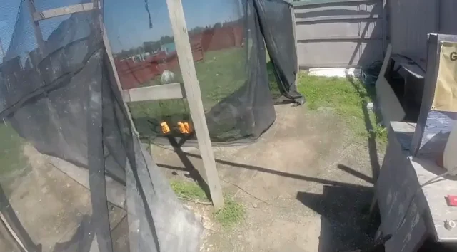 Airsoft edit | Scrolller