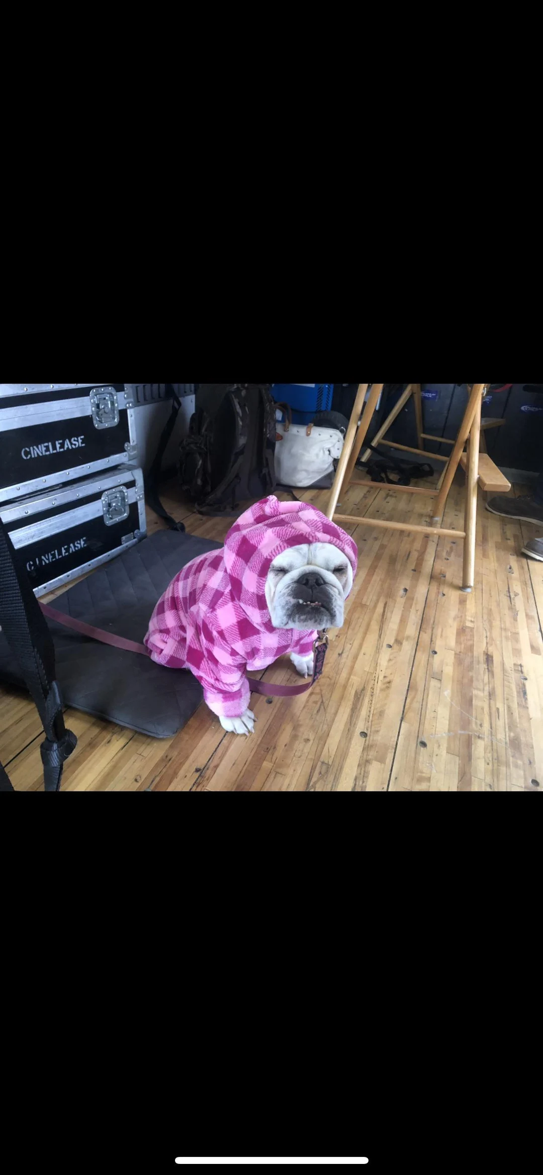 We hate the cold! | Scrolller