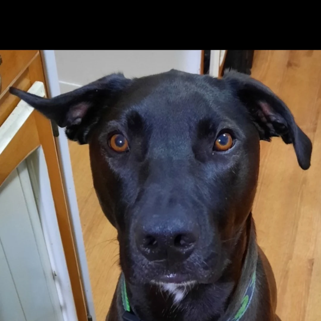 His ear style is crazy | Scrolller