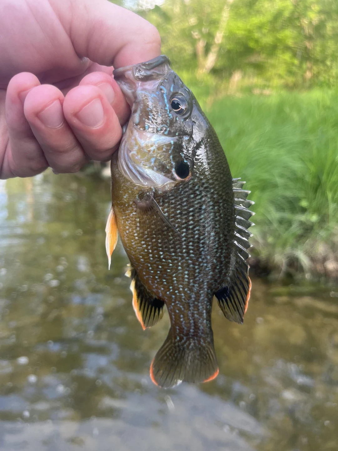 Love the turquoise. Fishing rules. | Scrolller