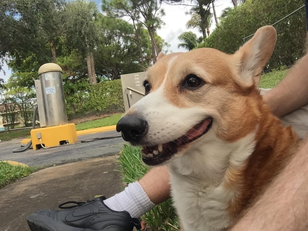 Every moment is precious | Scrolller