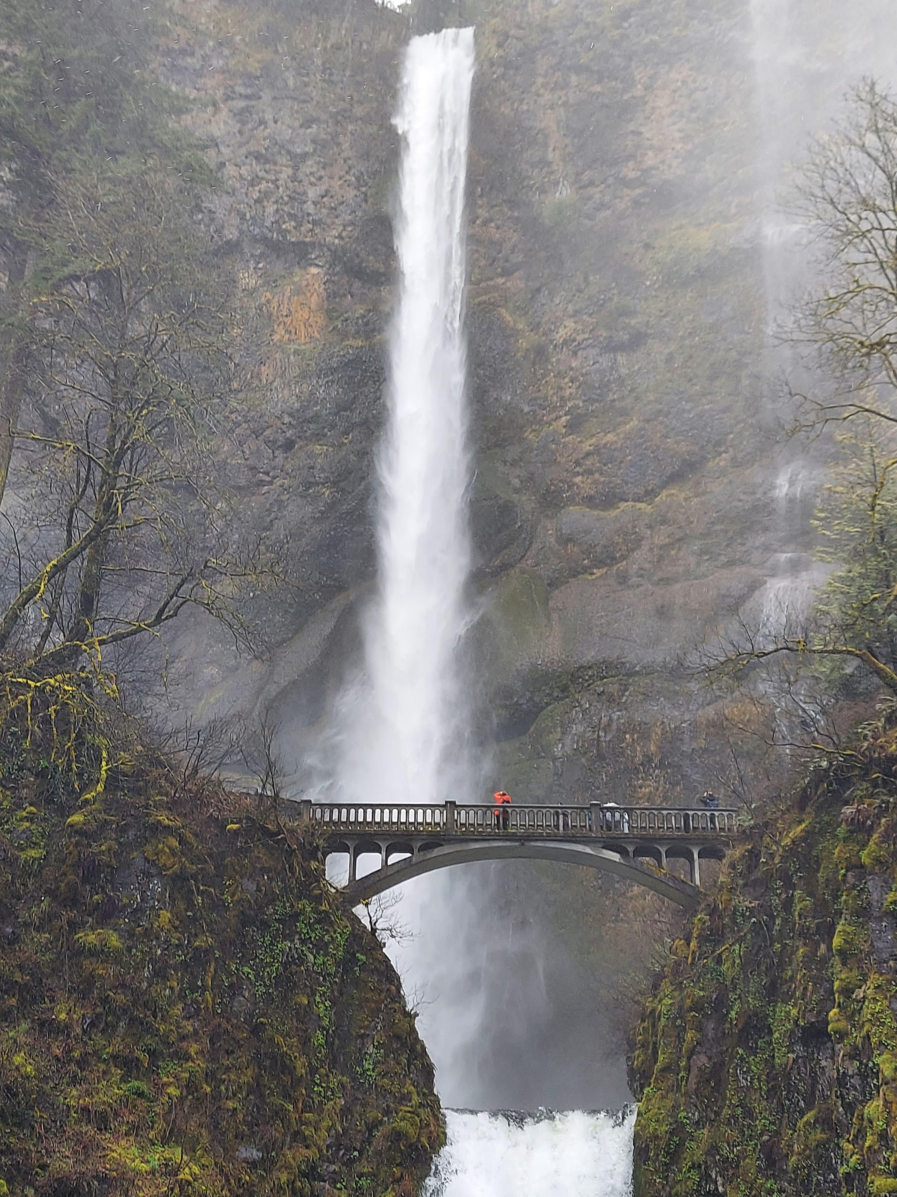 Red jacket | Scrolller