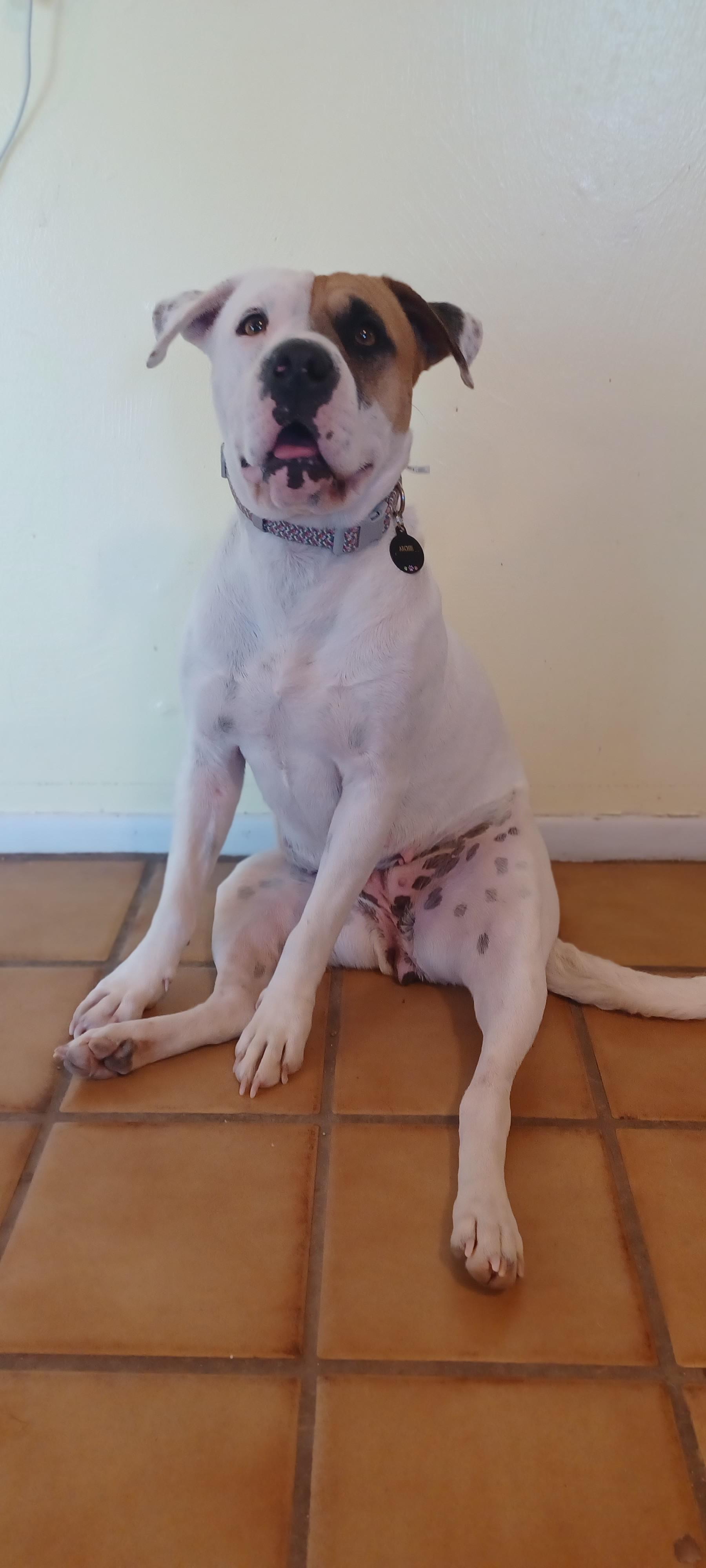 New family member | Scrolller