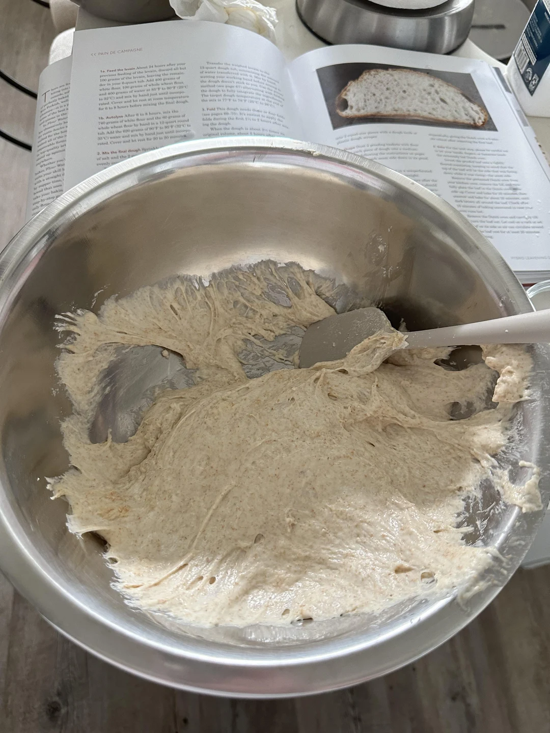 Ken Forkish Levain Leftover? | Scrolller