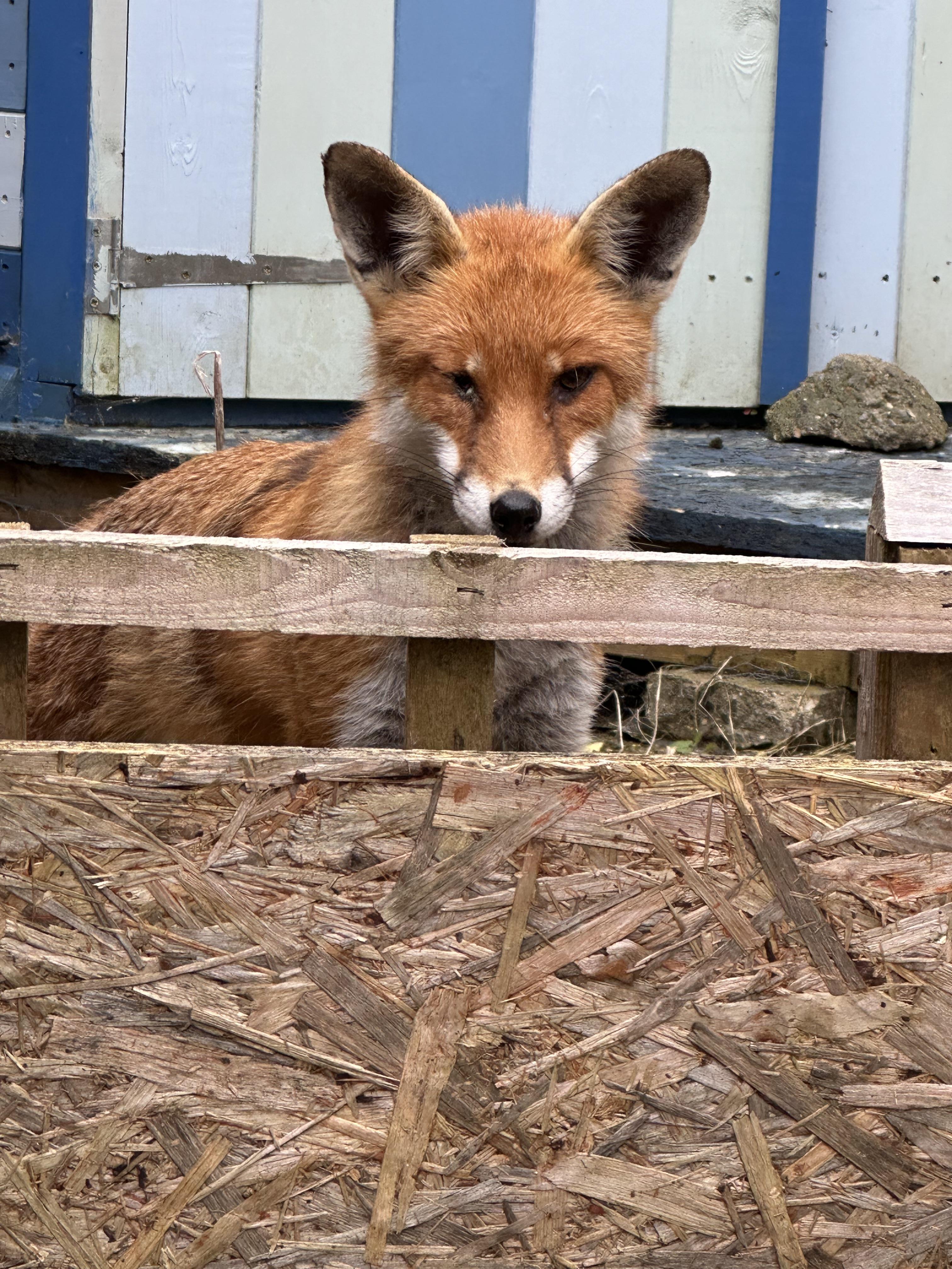 So confused | Scrolller