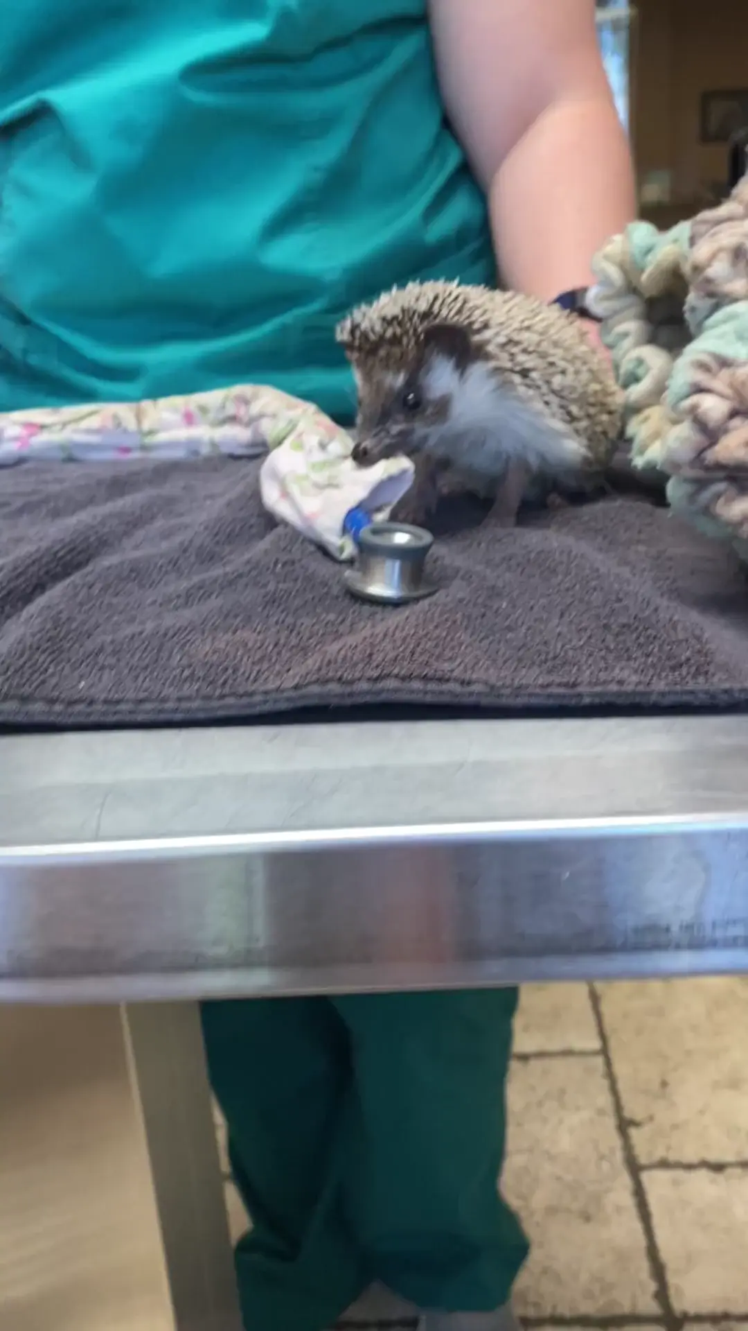 Finally got him to bite something | Scrolller