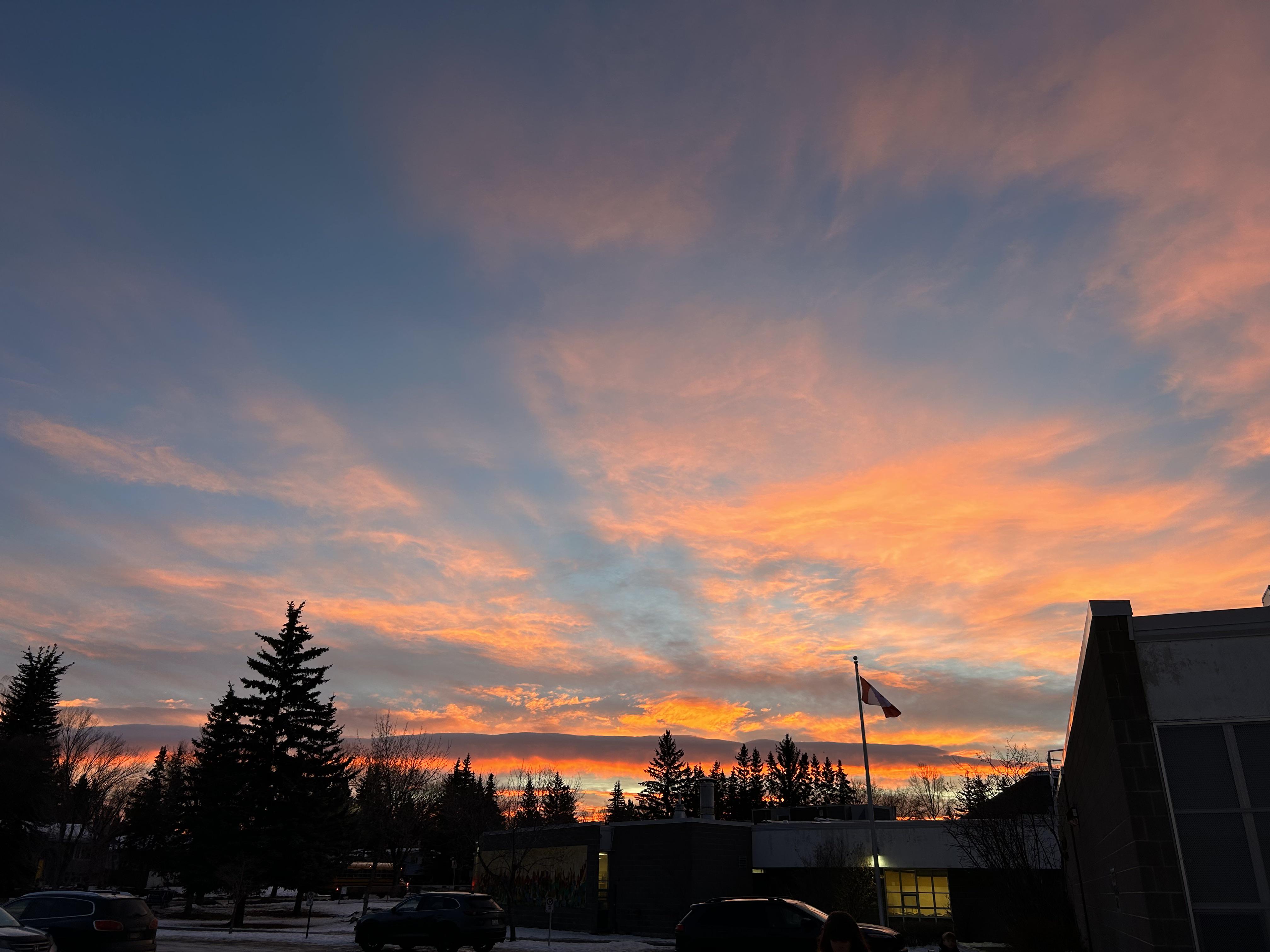 Finally had a Beam sighting! 🌅🌅🌅 | Scrolller