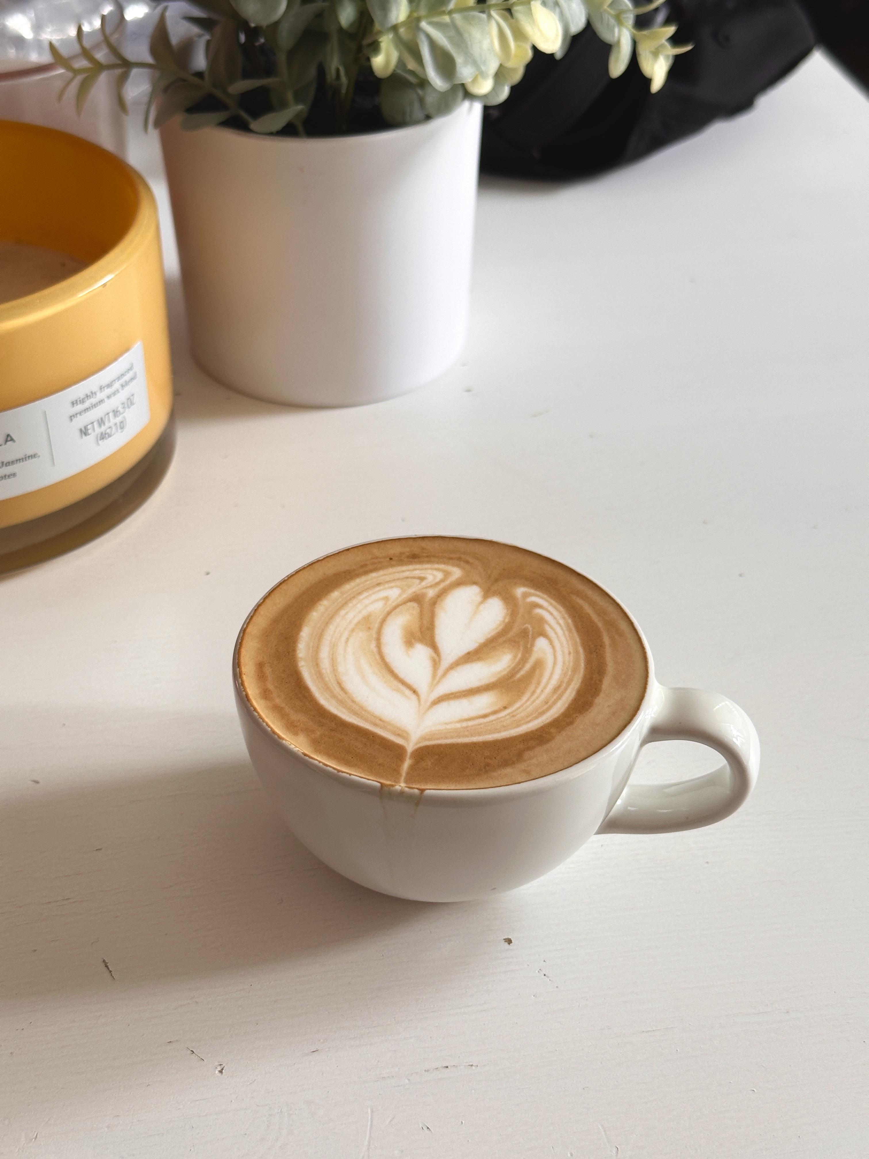 Finally managed to get a semi decent winged tulip! | Scrolller