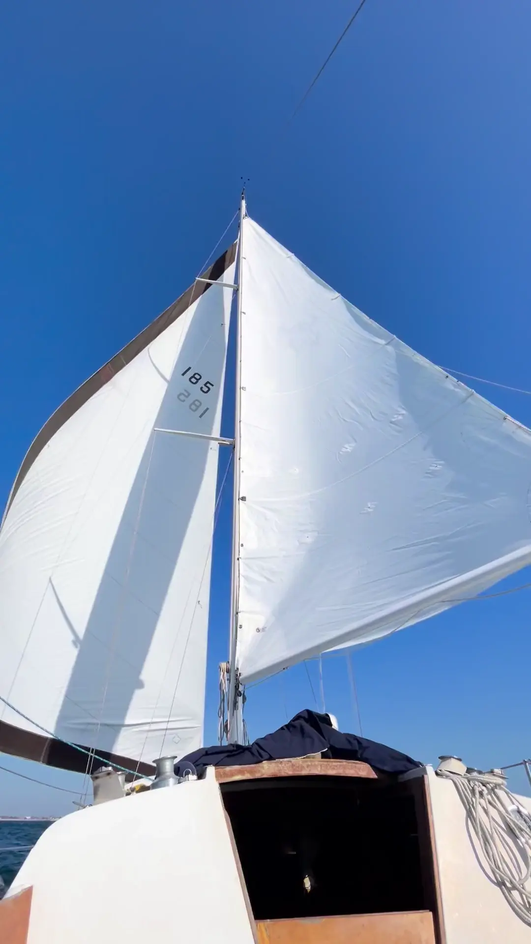 Finally, wing in wing!! | Scrolller