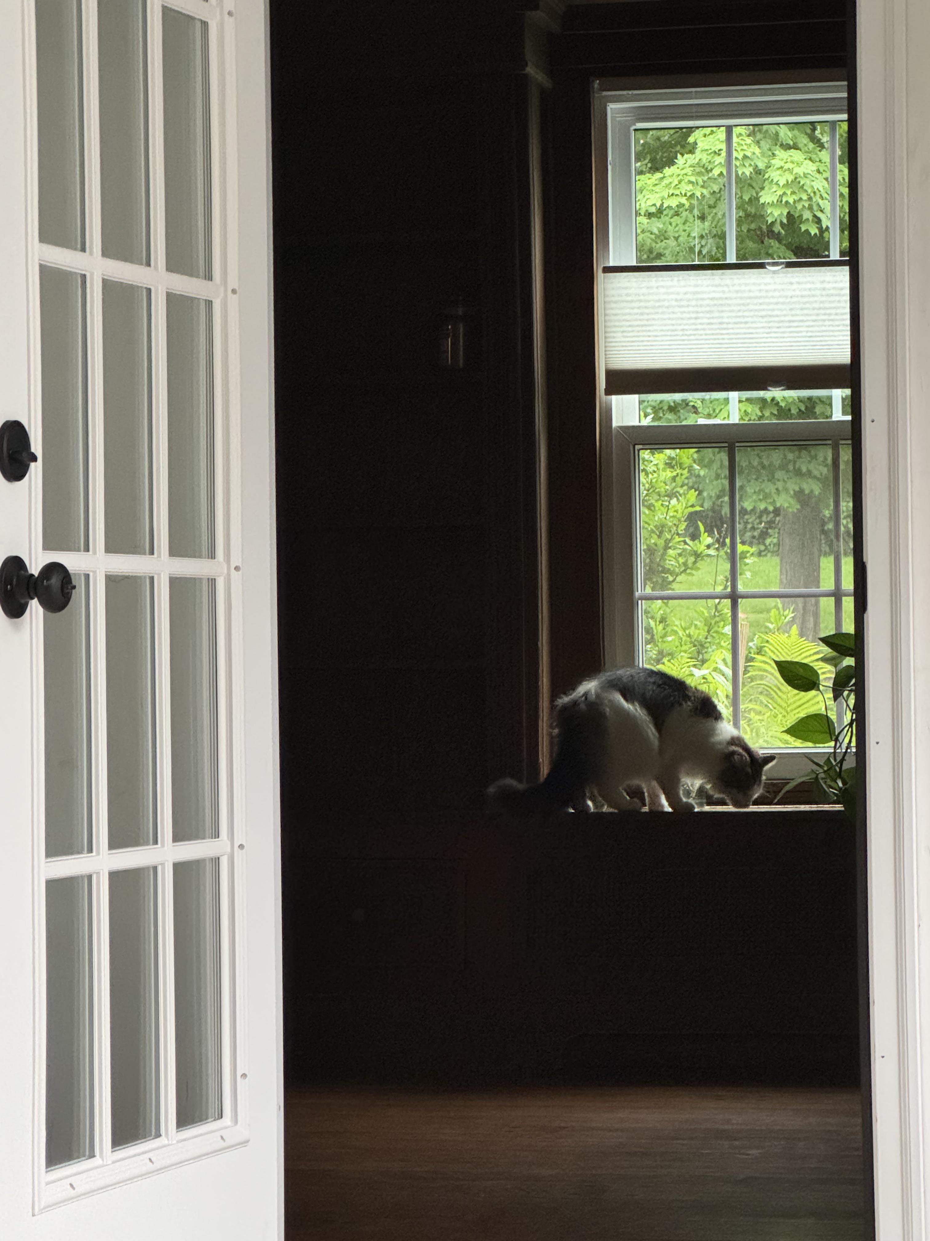 First day in our new home | Scrolller