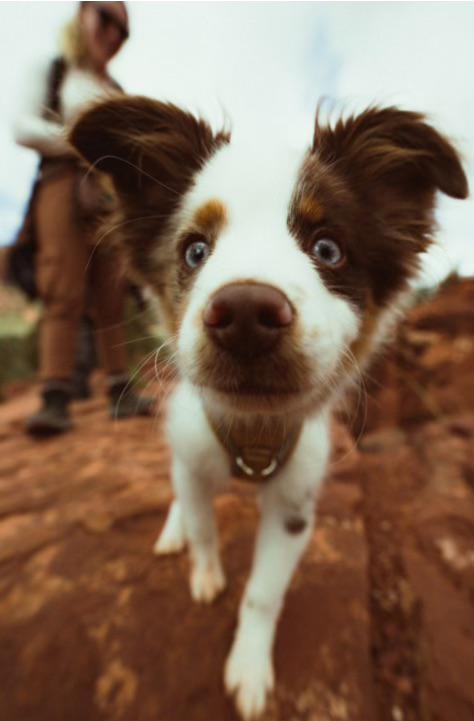 First hike | Scrolller