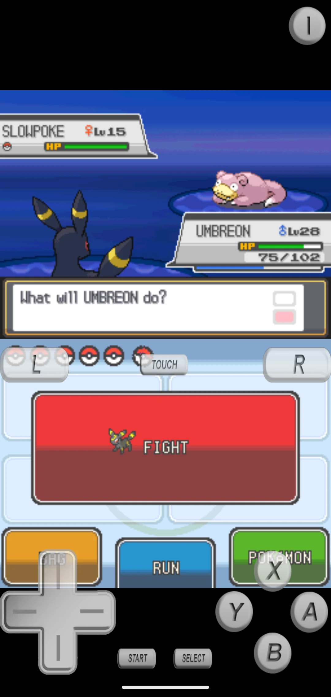 First Shiny | Scrolller