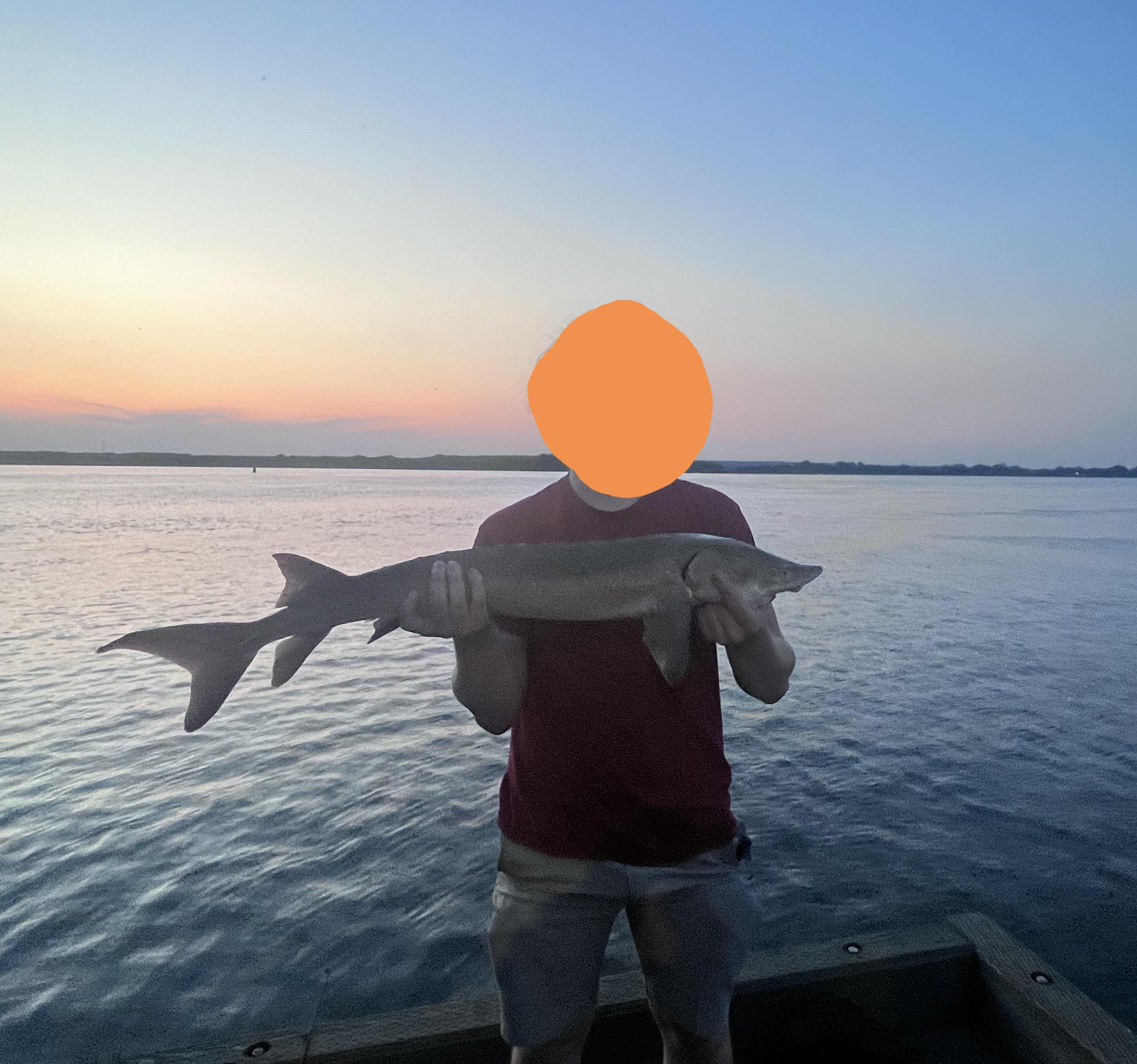 First Sturgeon Of my Life! | Scrolller