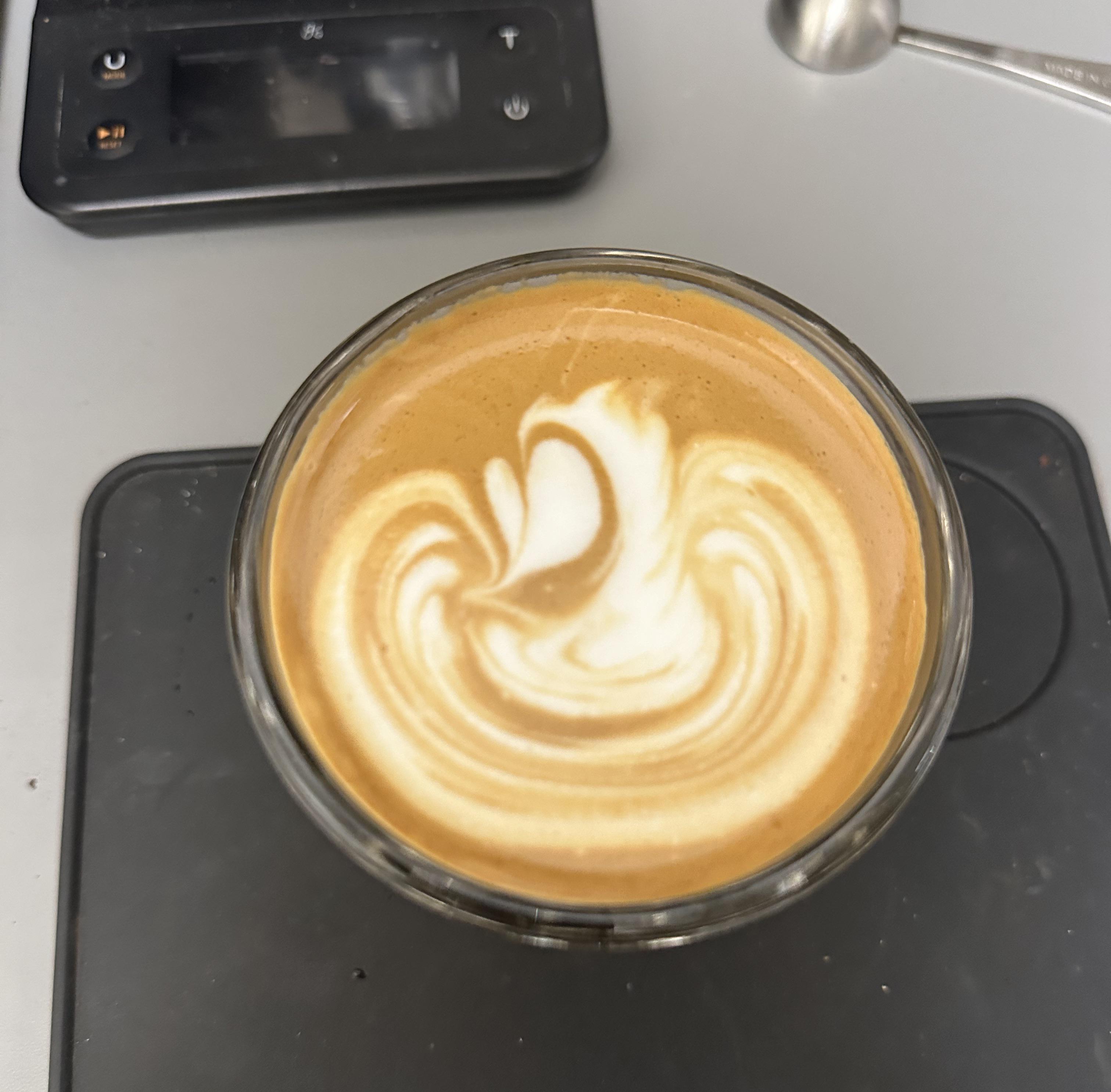 First swan attempt | Scrolller