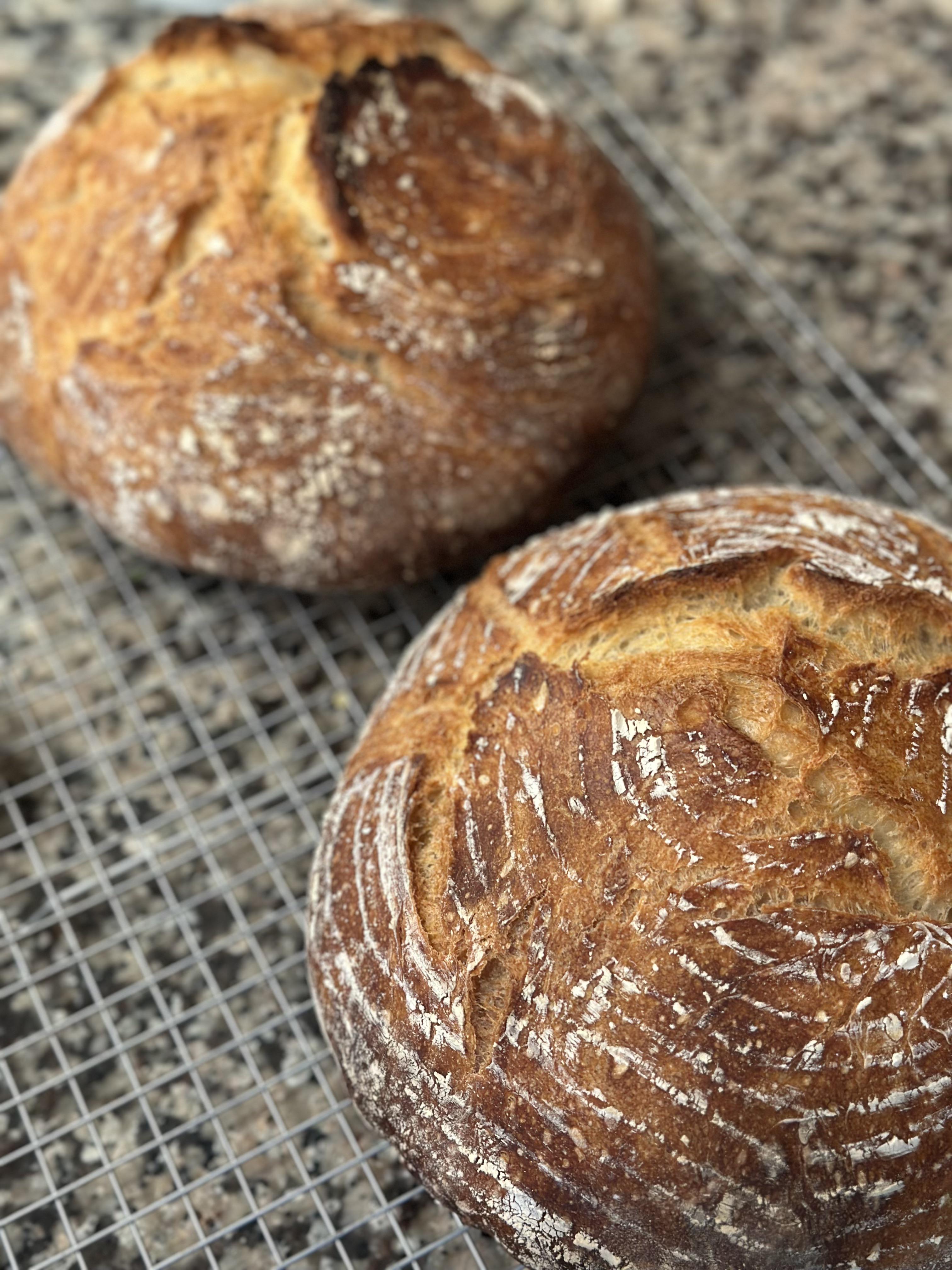 First Timer Scrolller