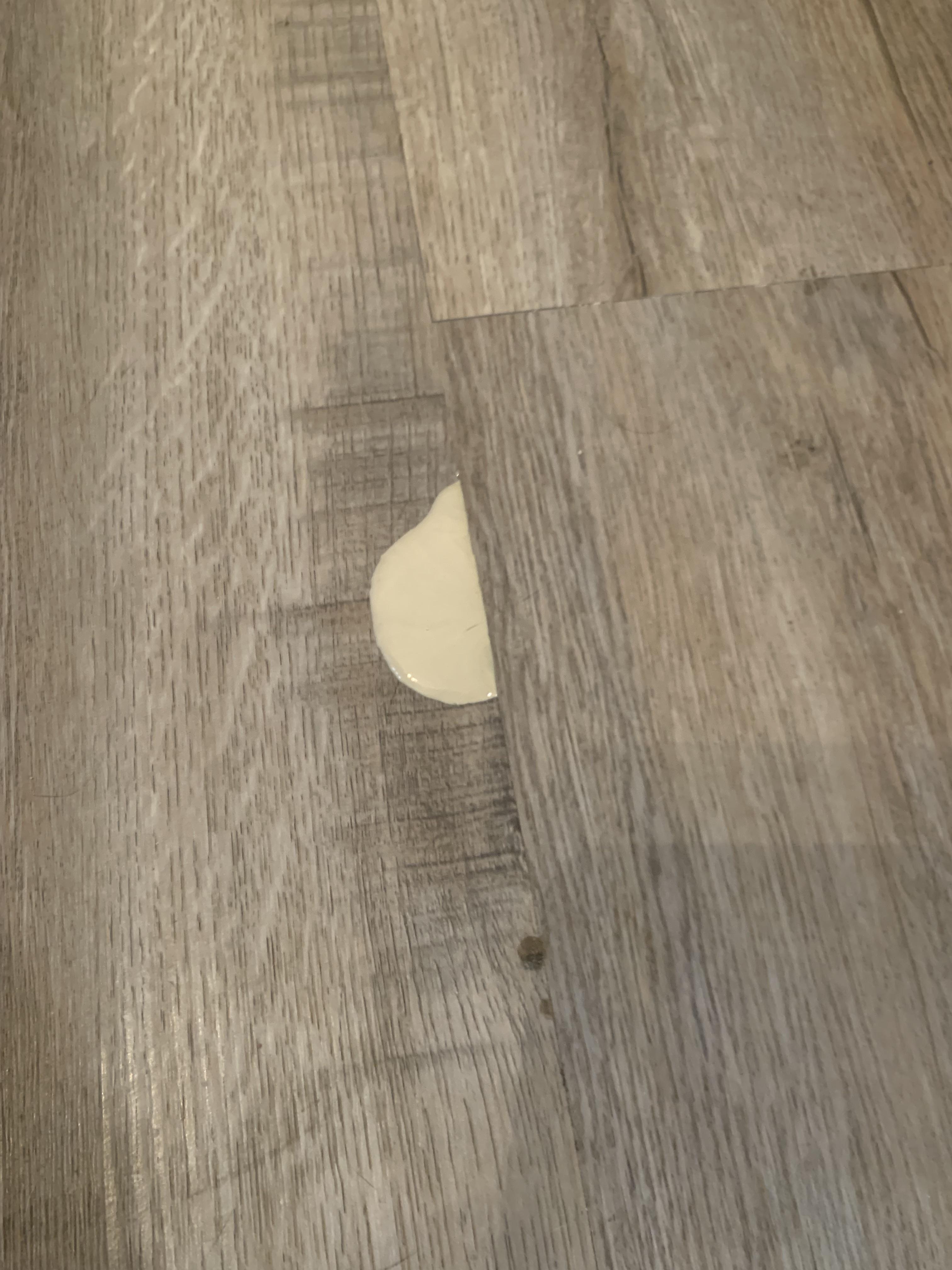 What is this white goo coming up through my floors? | Scrolller