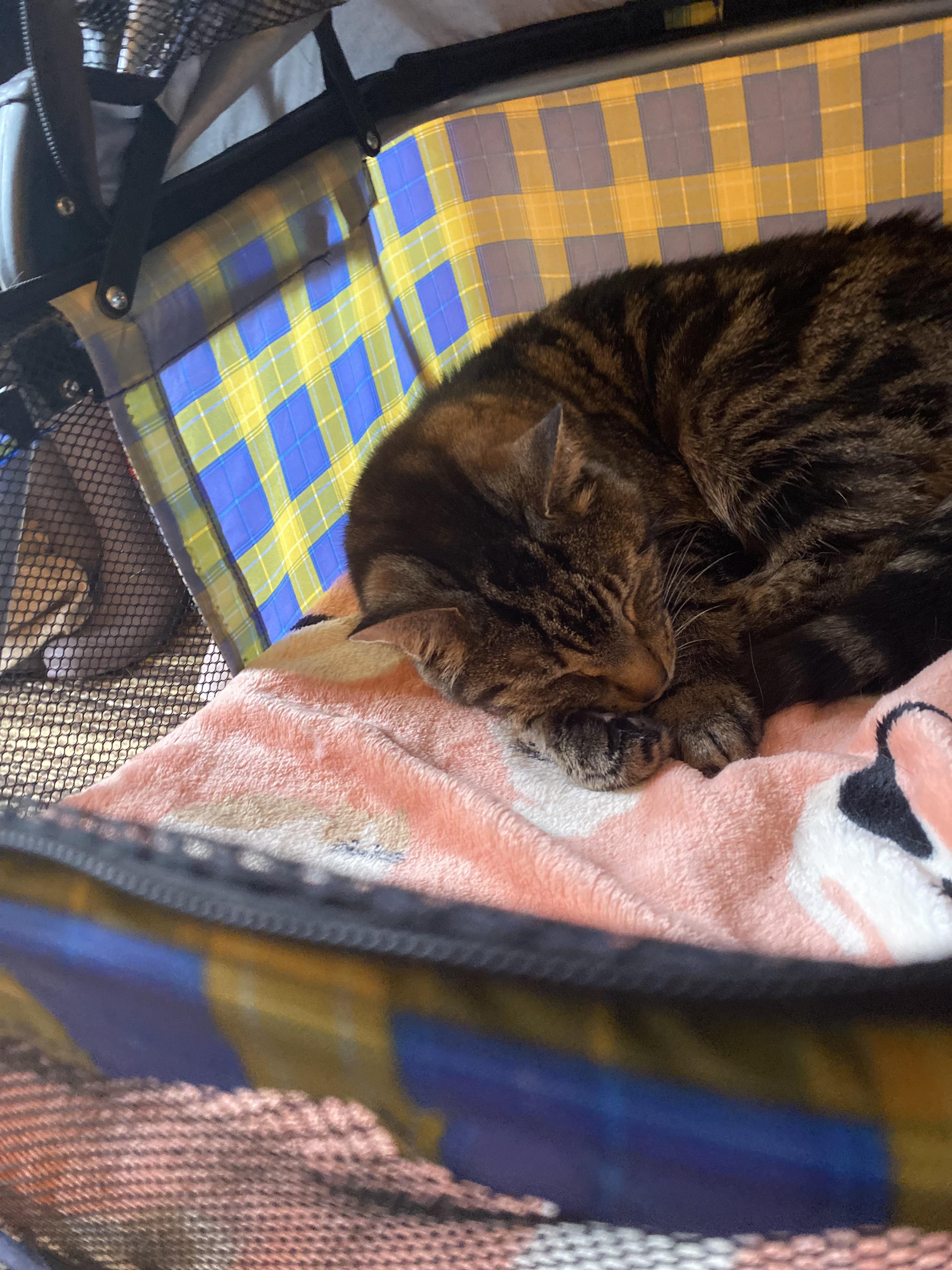 Smokey, 18 years old ️ ️ | Scrolller