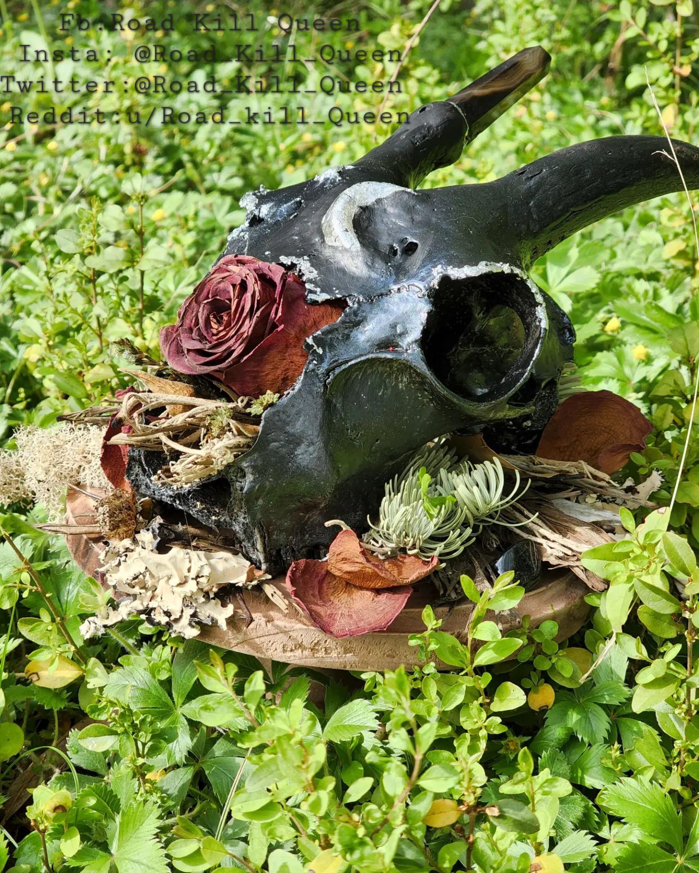 "The witches assistant", OC Goat skull art | Scrolller