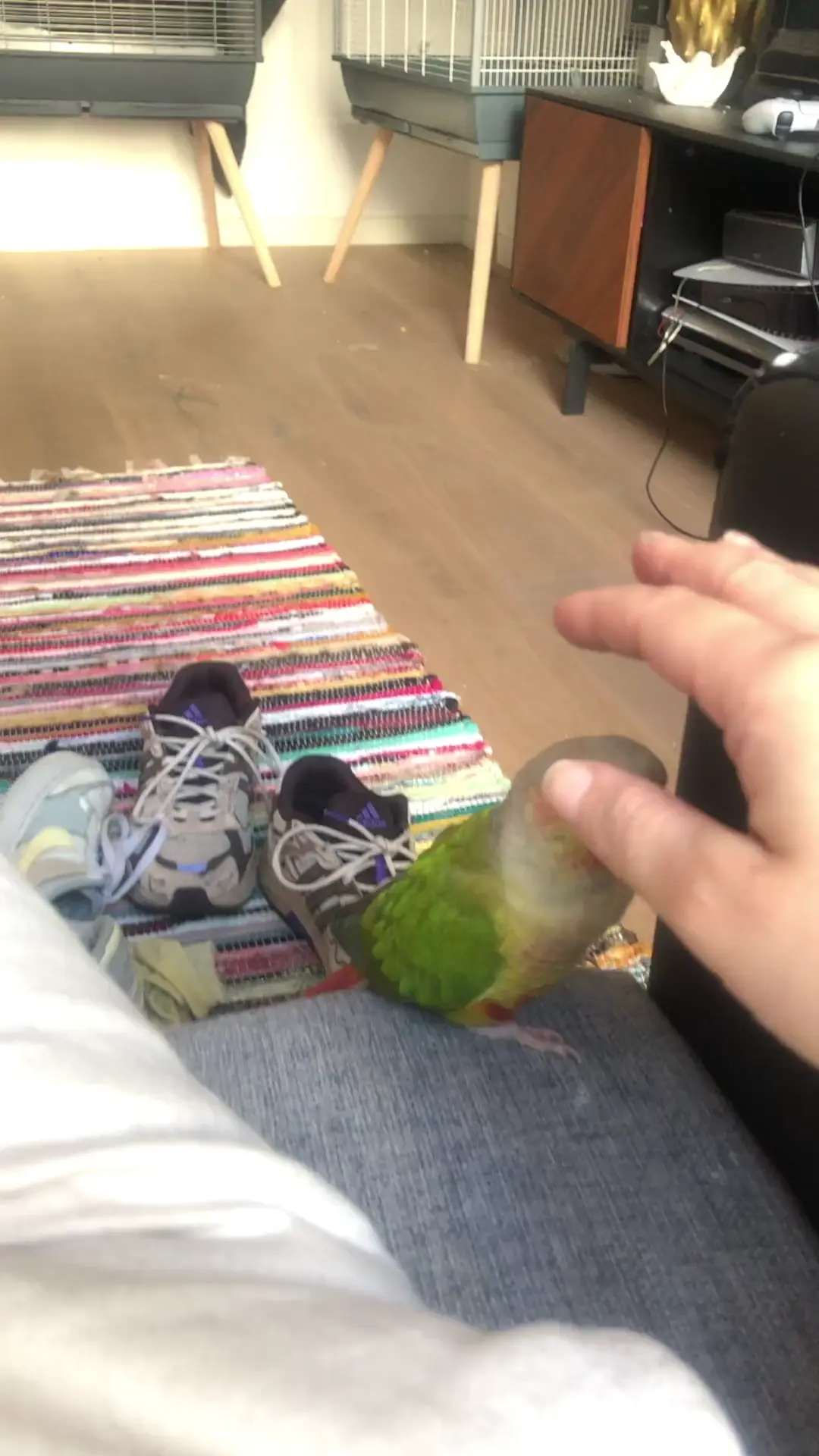 flippin cute | Scrolller