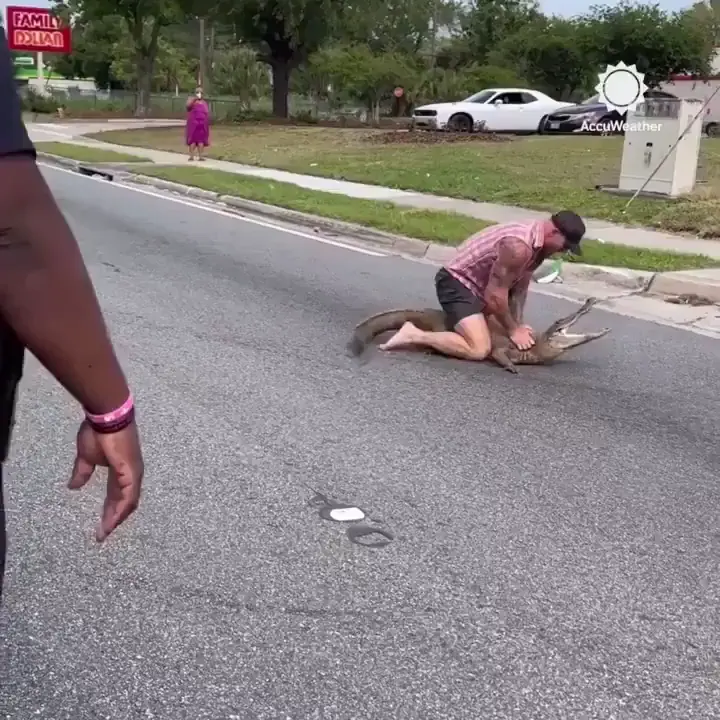 Discover more like Nextfuckinglevel: Florida man catches an alligator with his bare hands and ...