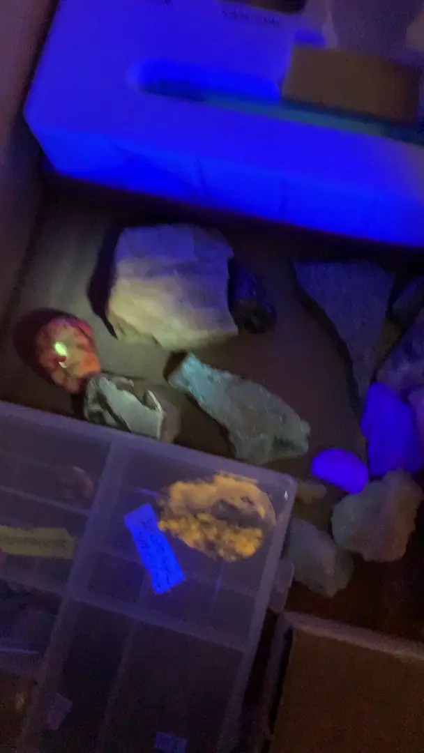 Fluorescent mineral collection | Scrolller