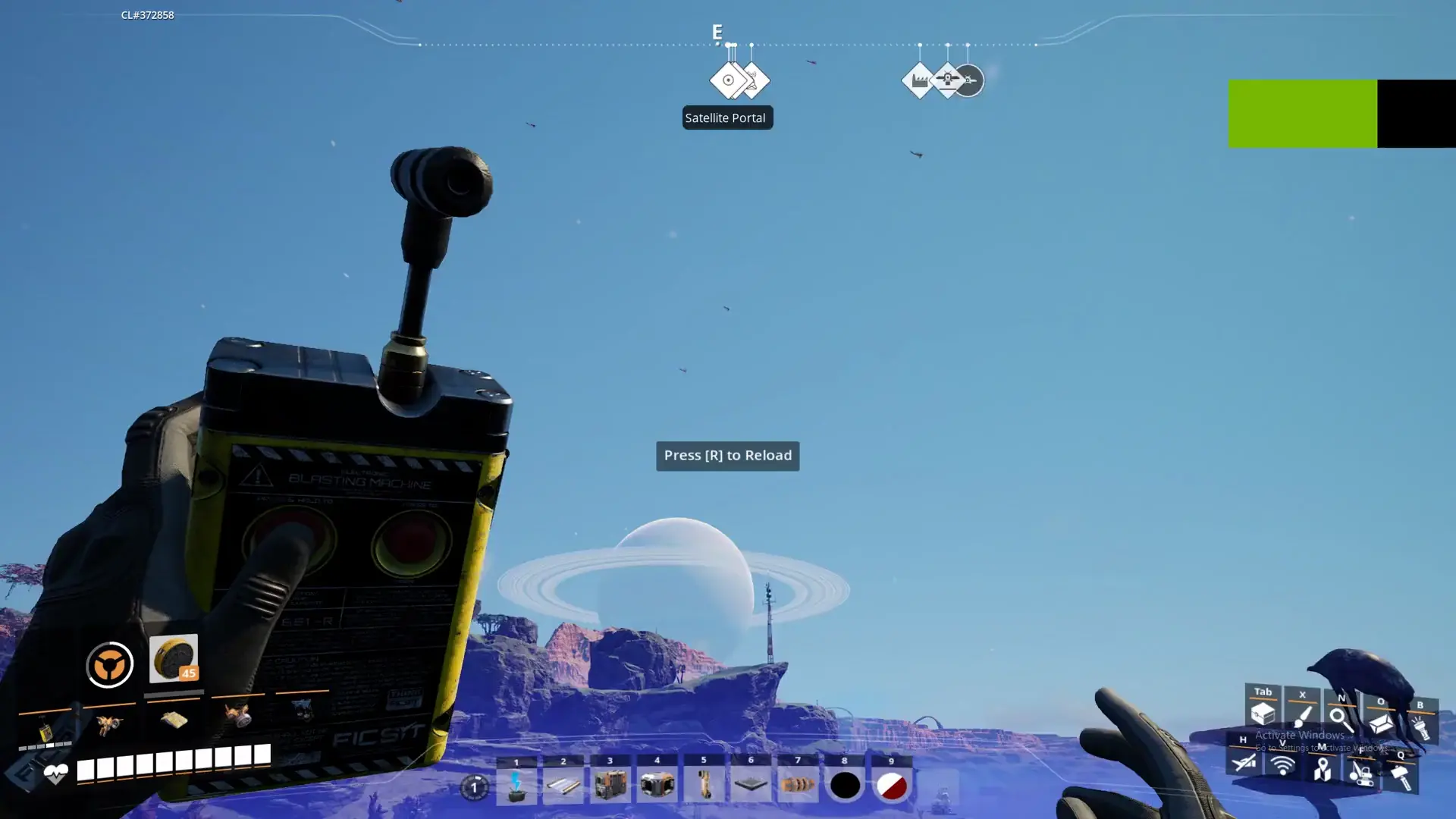 Flying tick | Scrolller