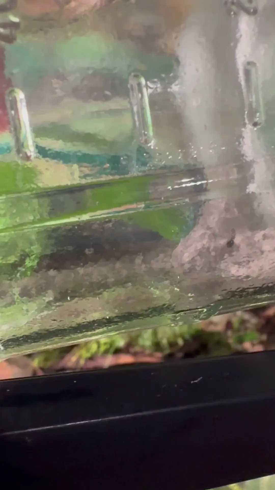 For those who keep telling me to coat my food. Then I say I do and u don’t believe me here’s the ...